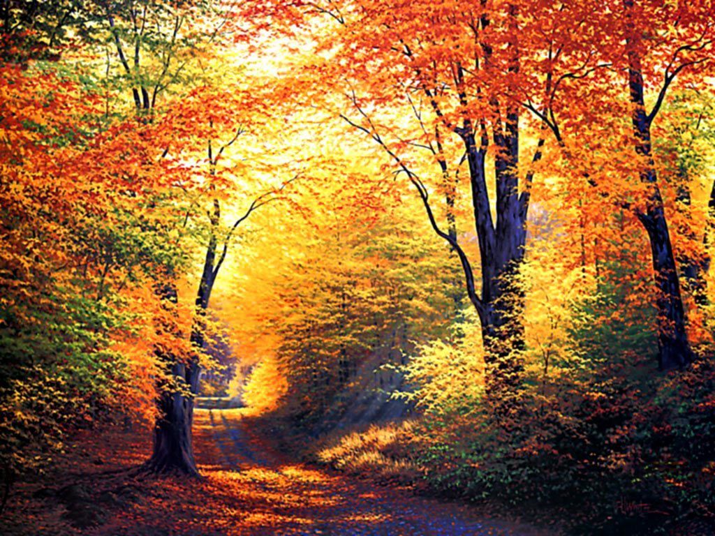 Scenic View Of Autumn Wallpapers - Wallpaper Cave