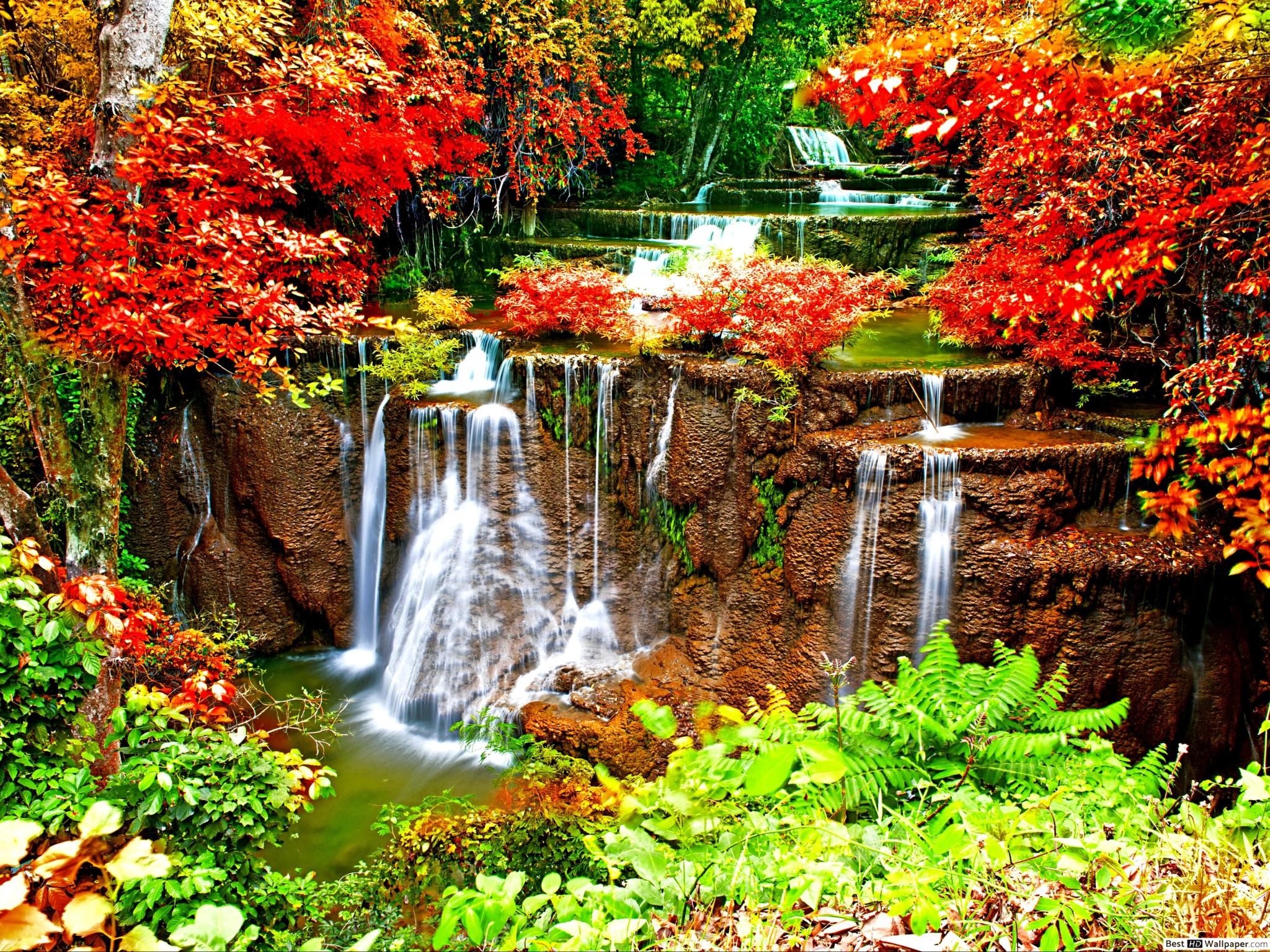 Scenic View Of Autumn Wallpapers - Wallpaper Cave