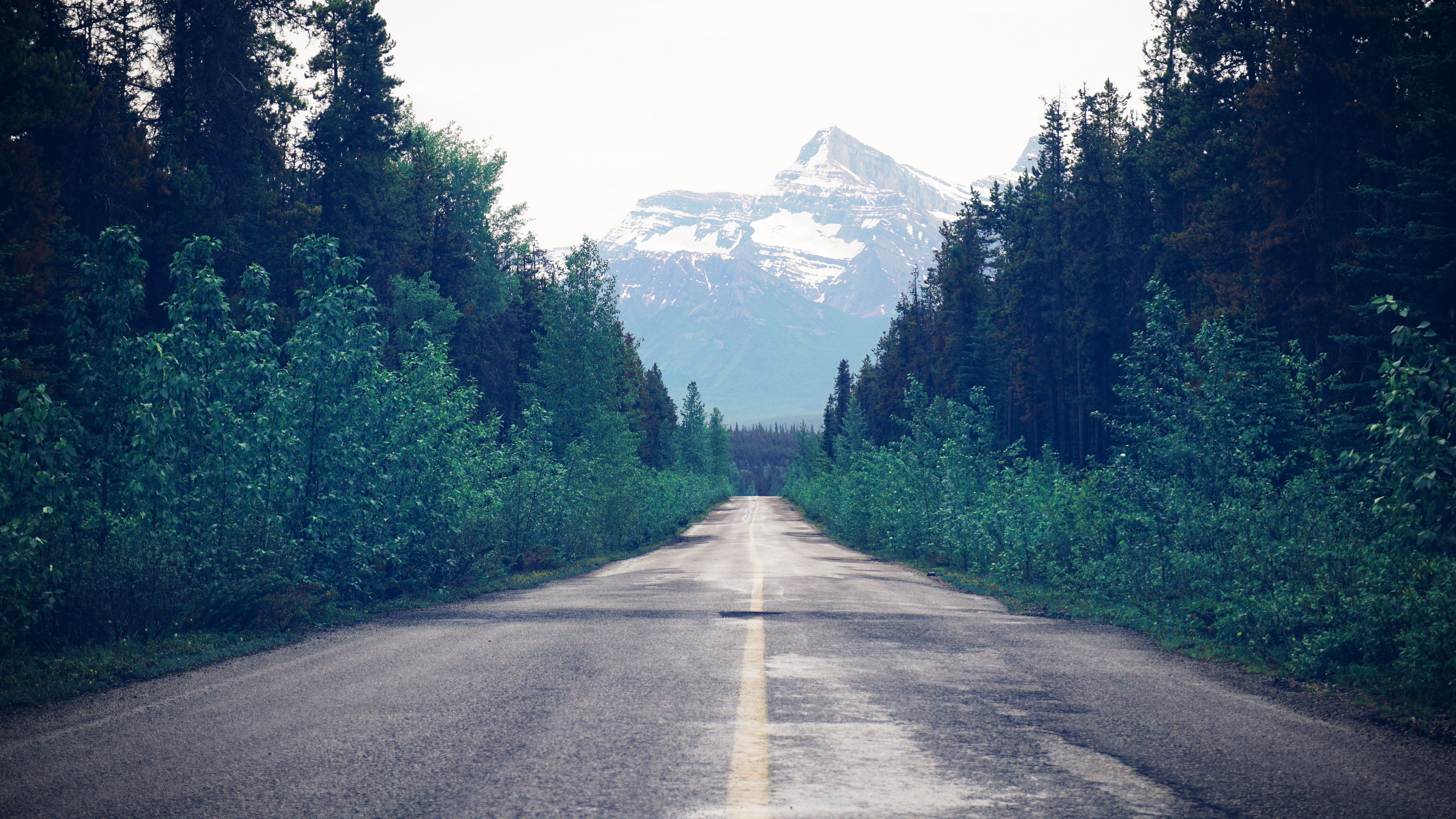 Mountains Trees Road HD Wallpapers - Wallpaper Cave