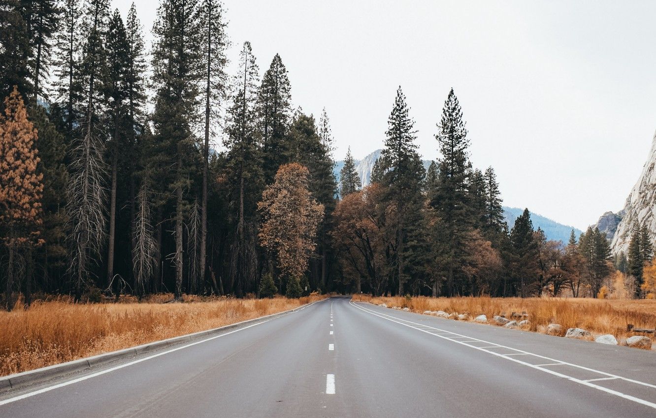 Mountains Trees Road HD Wallpapers - Wallpaper Cave