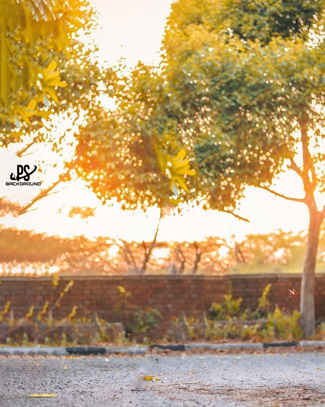 NSB Pictures Wallpapers - Wallpaper Cave