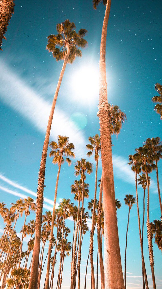 Santa Barbara Wallpapers - Wallpaper Cave