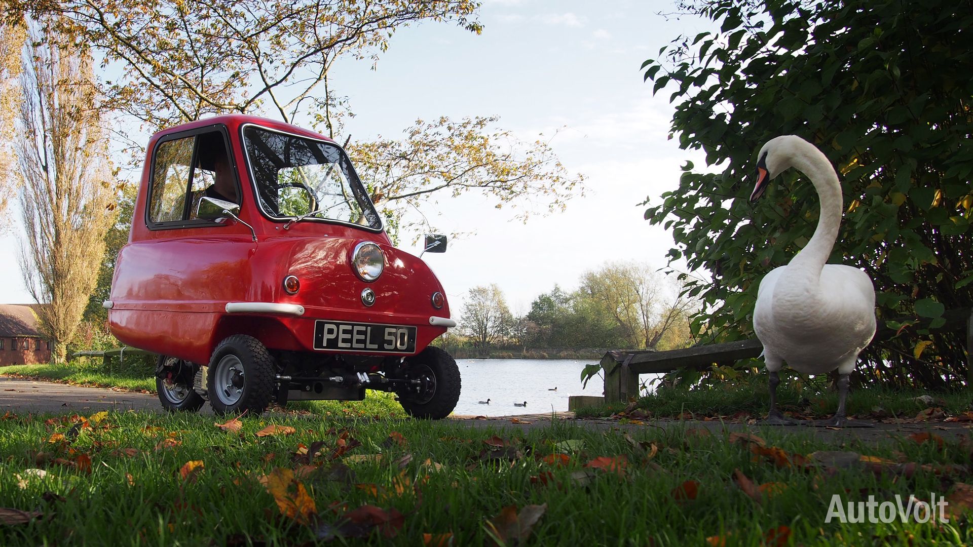 Peel P50 Wallpapers - Wallpaper Cave