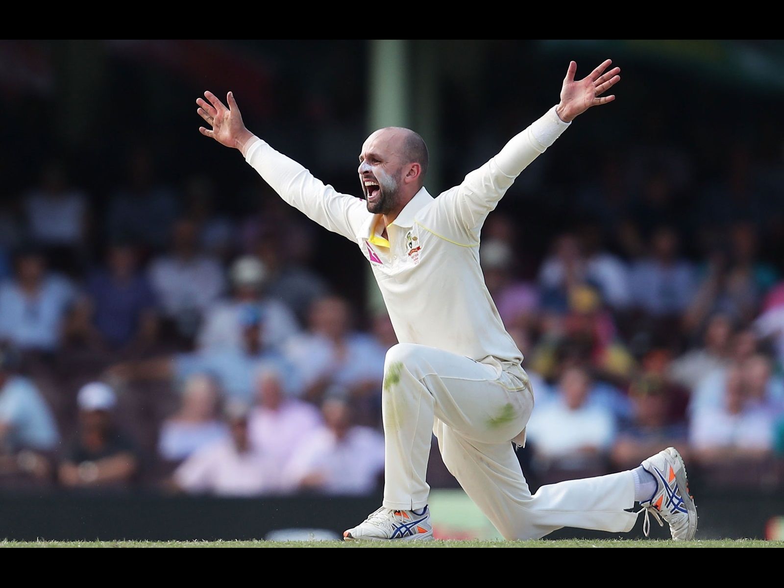 Nathan Lyon Wallpapers - Wallpaper Cave