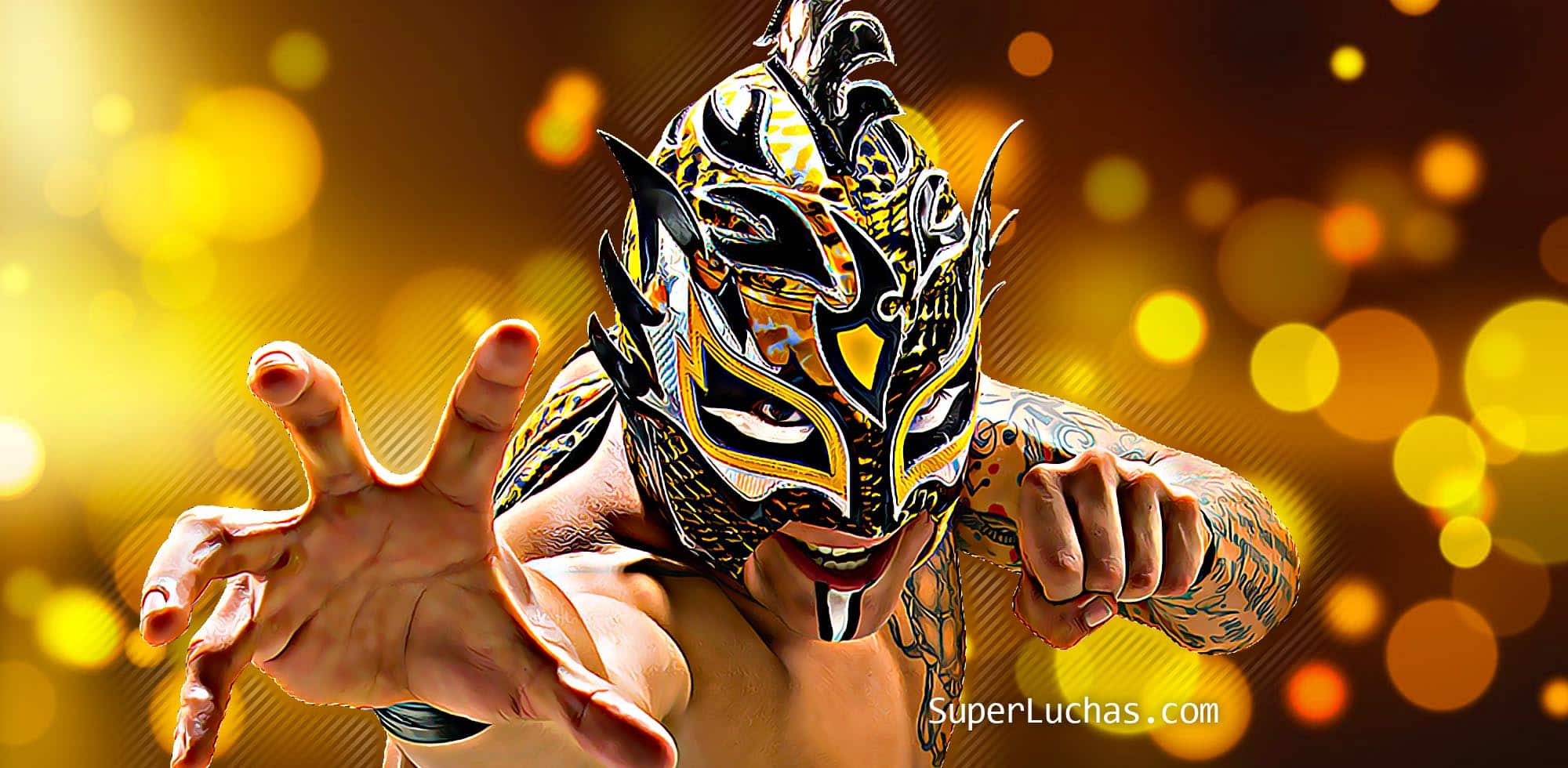 Rey Fénix Wallpapers - Wallpaper Cave