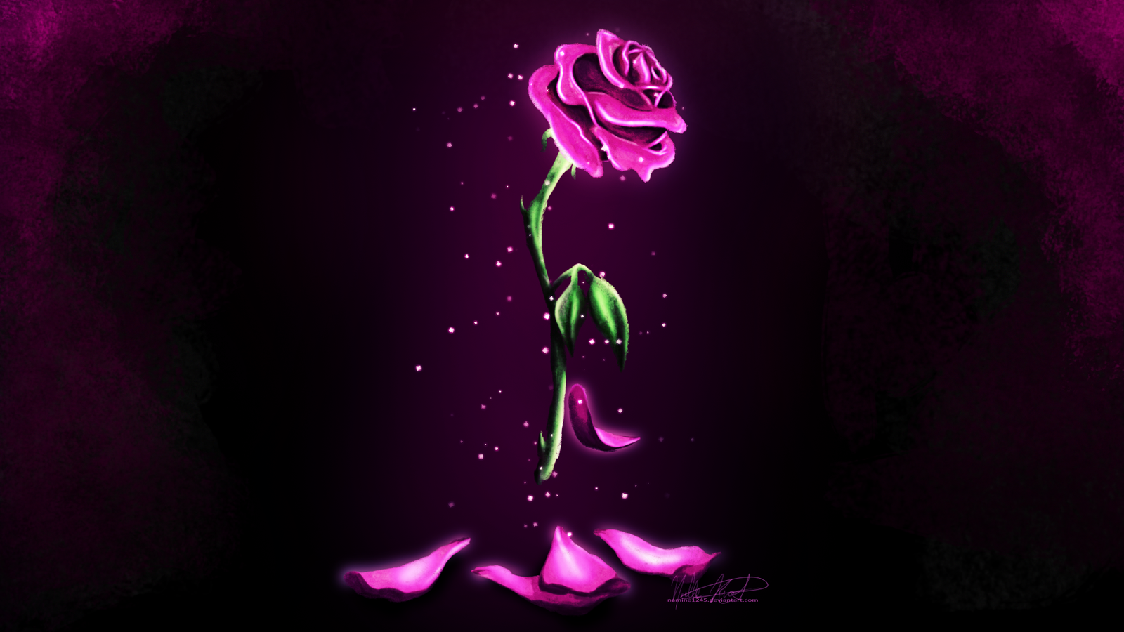 Enchanted Pink Roses Wallpapers - Wallpaper Cave