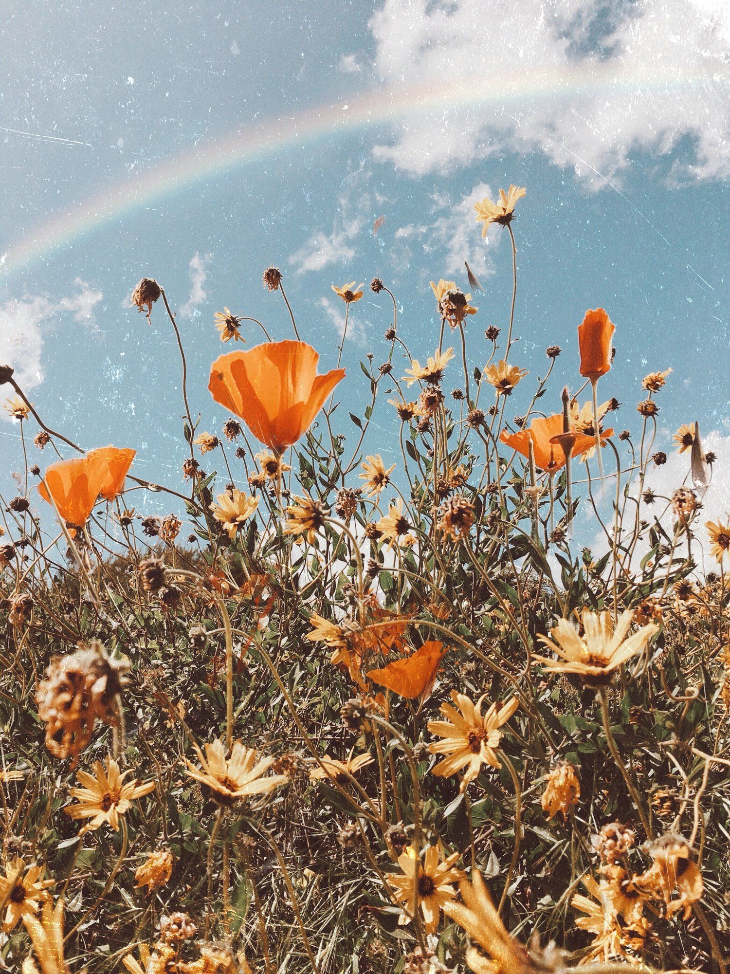 Nature Images Aesthetic Nature Images Aesthetic