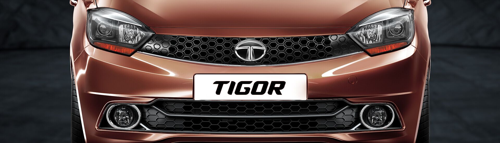 Tigor Wallpapers - Wallpaper Cave