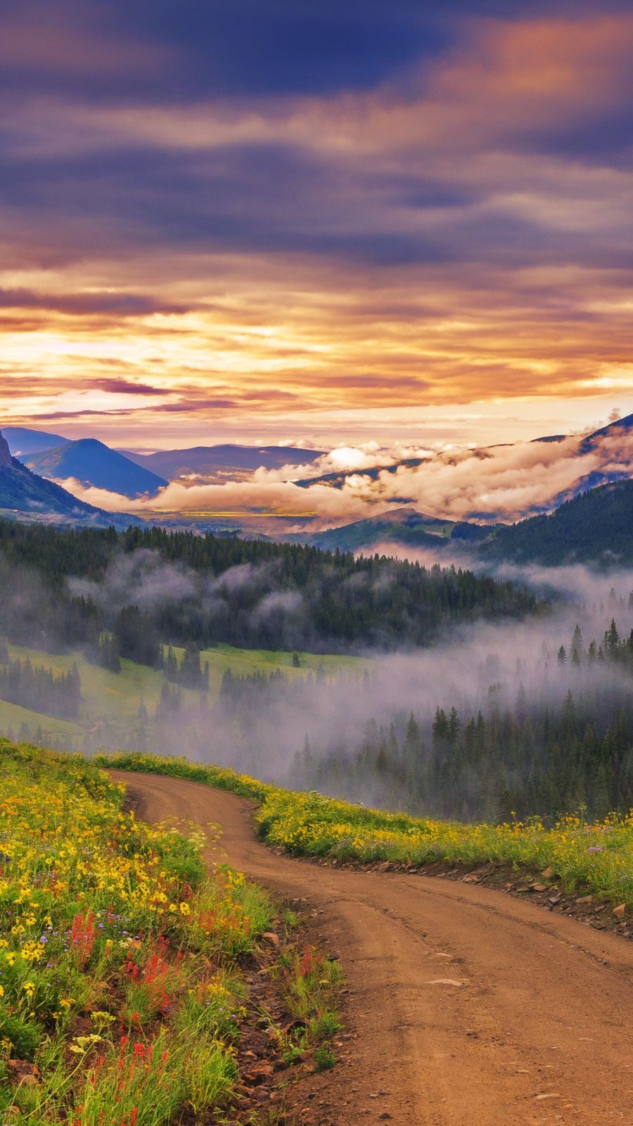 Sunset Meadow Wallpapers - Wallpaper Cave