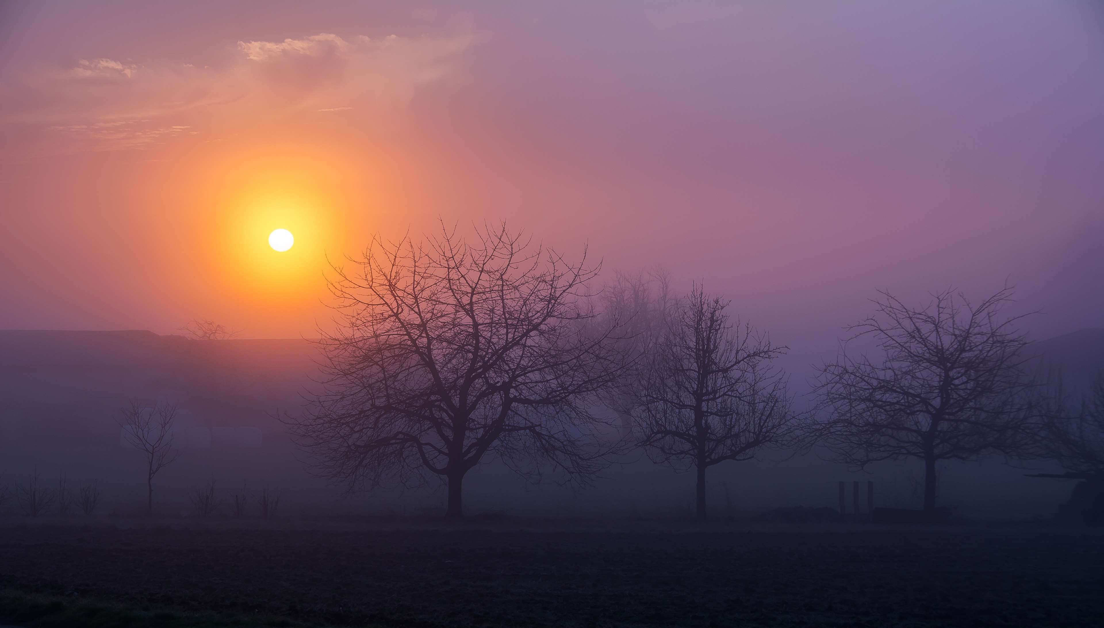 Fogy Sunrise Wallpapers - Wallpaper Cave