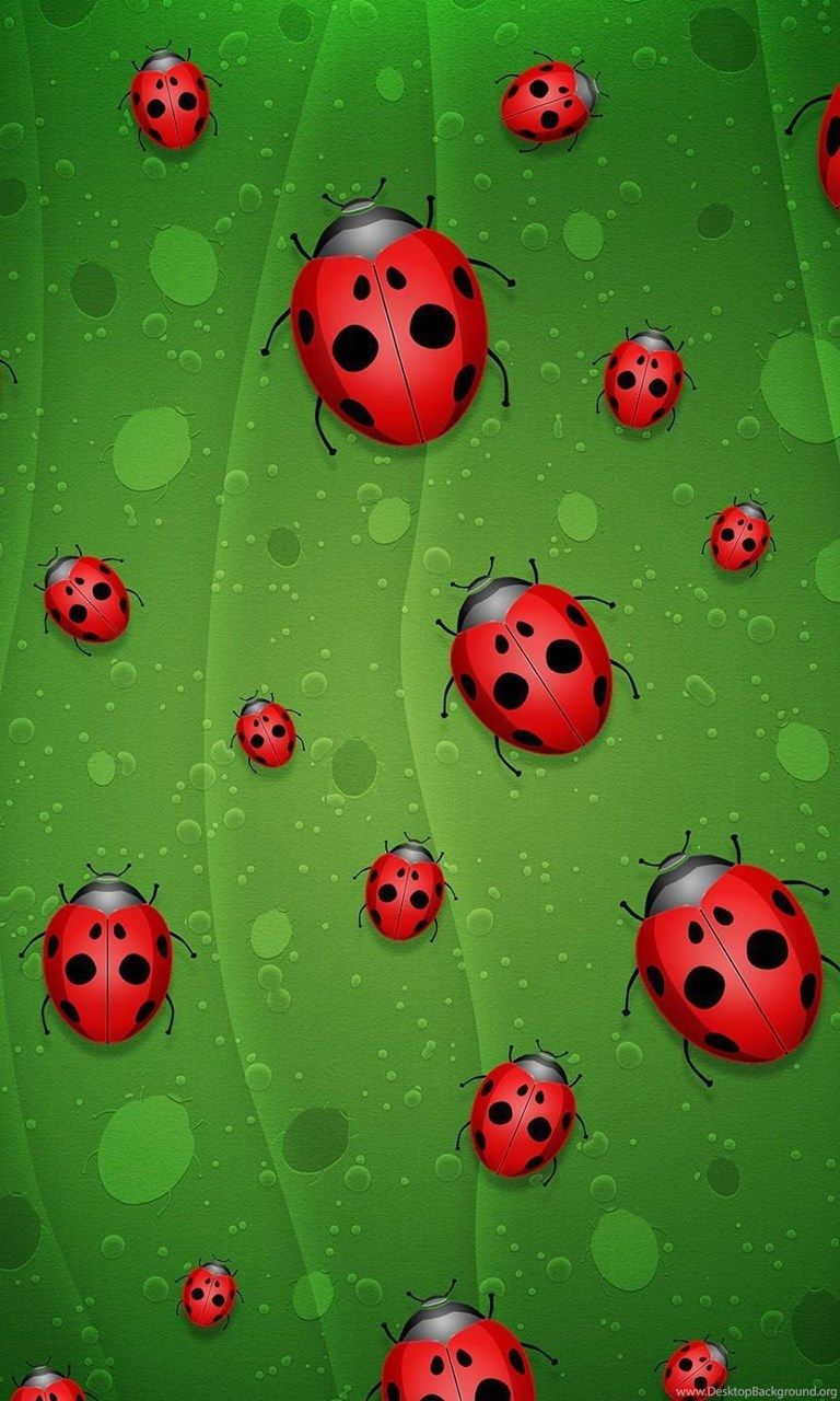 Ladybug HD Mobile Wallpapers - Wallpaper Cave