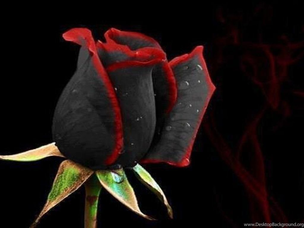 Gothic Rose Wallpapers - Wallpaper Cave