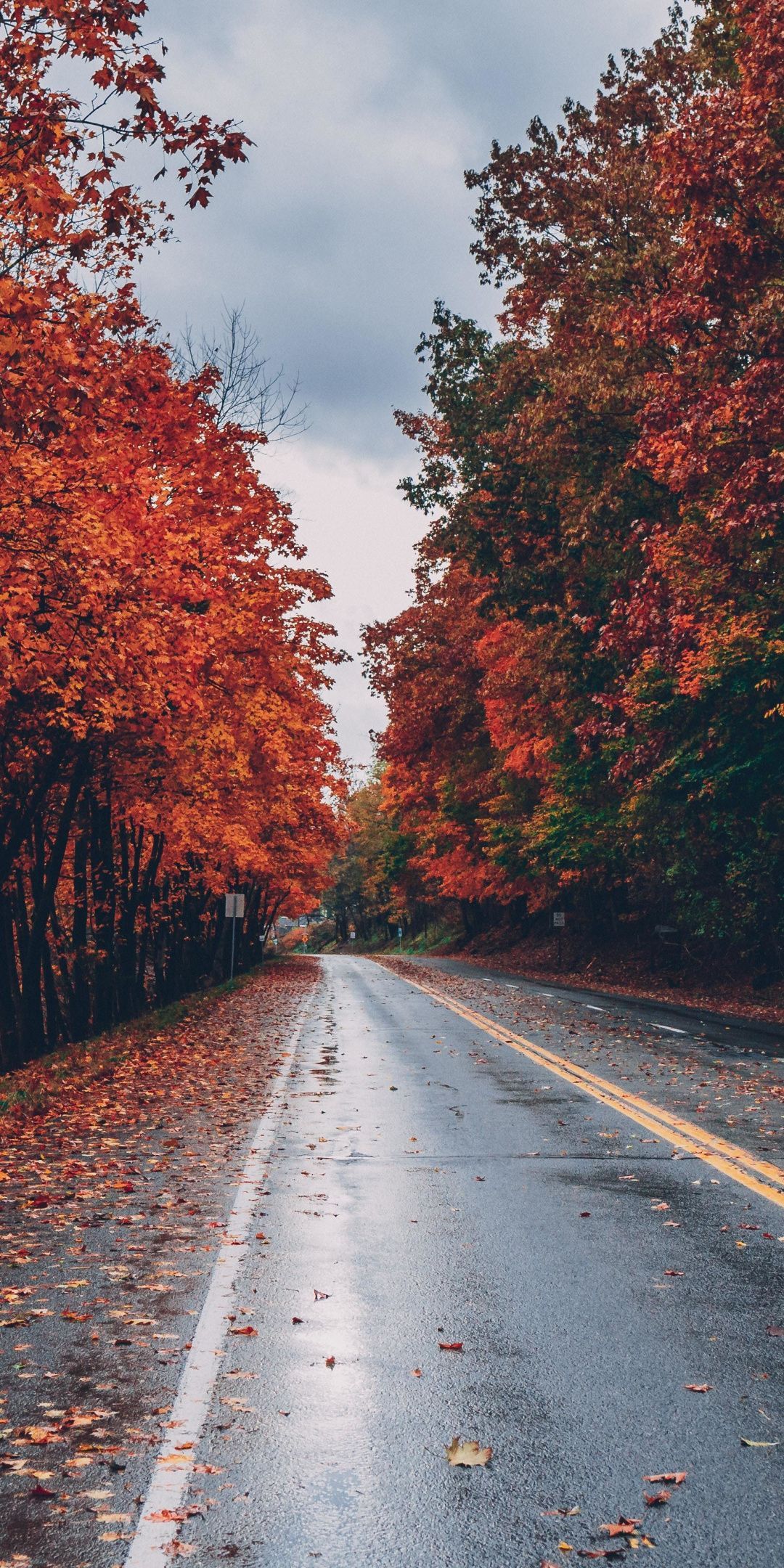 Autumn Highway Wallpapers - Wallpaper Cave