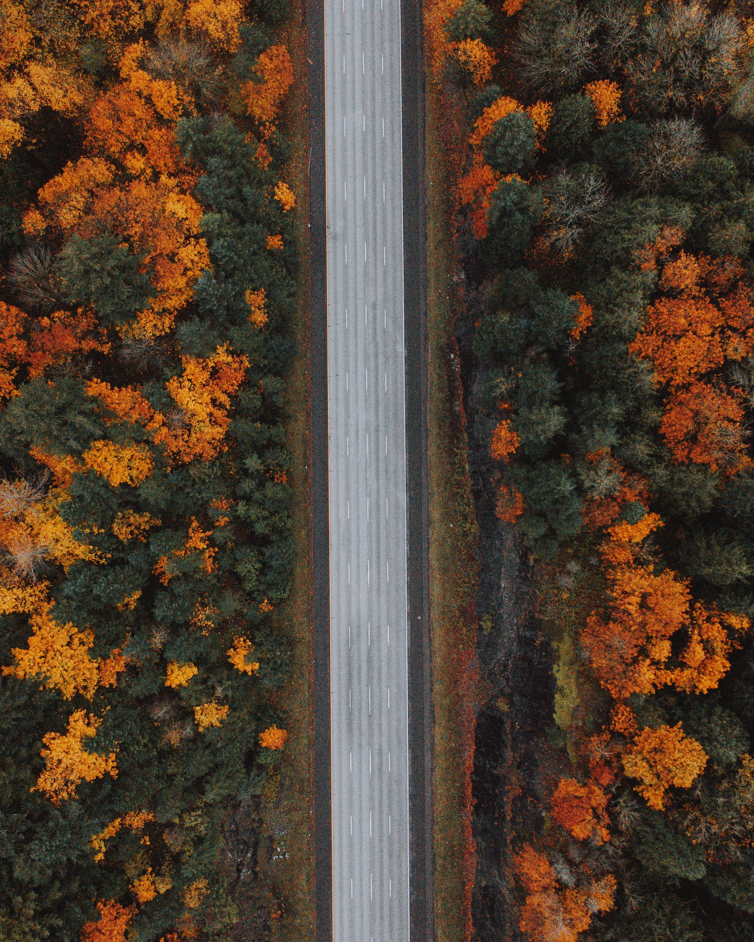 Autumn Highway Wallpapers - Wallpaper Cave
