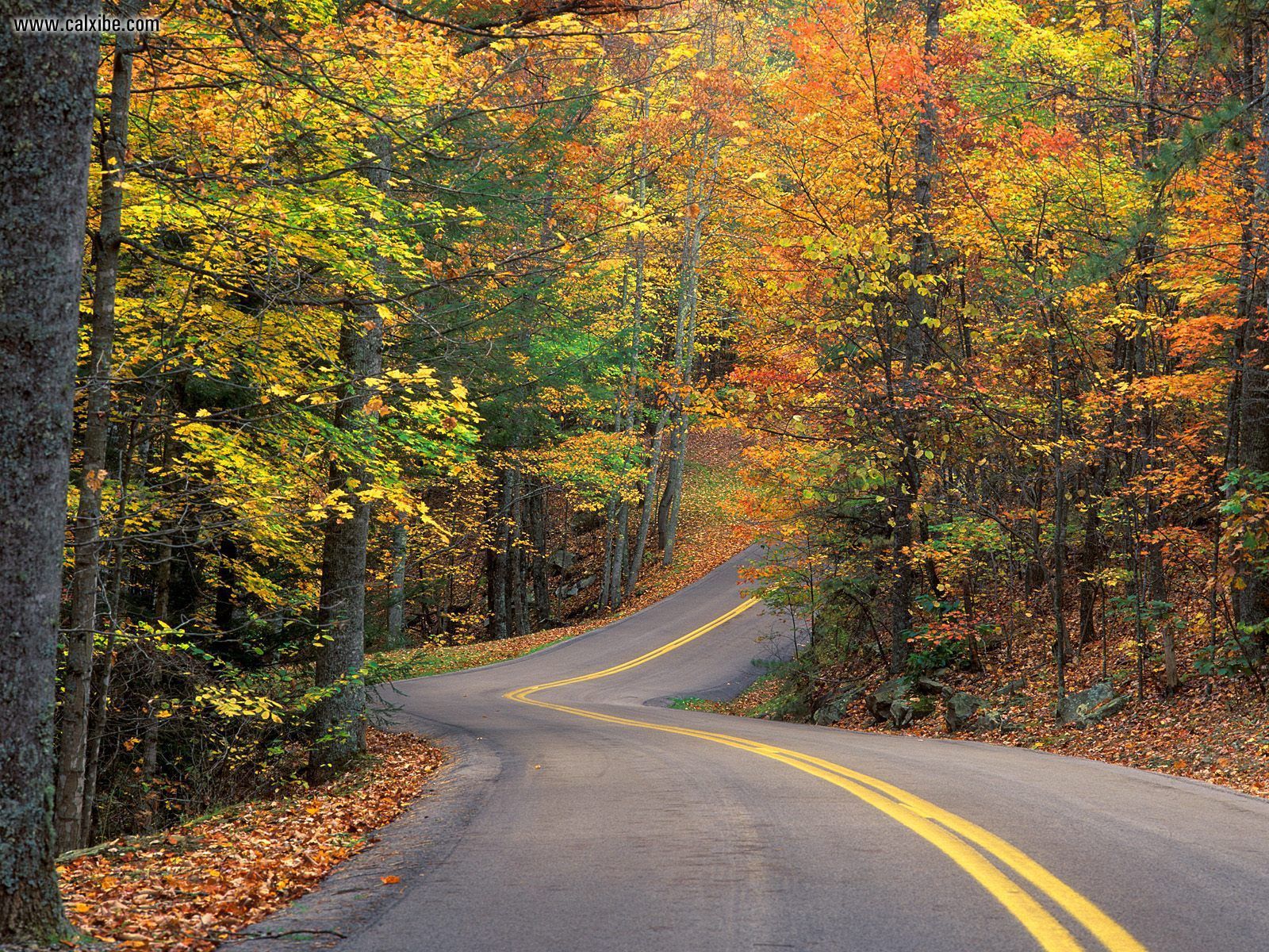 Autumn Highway Wallpapers - Wallpaper Cave