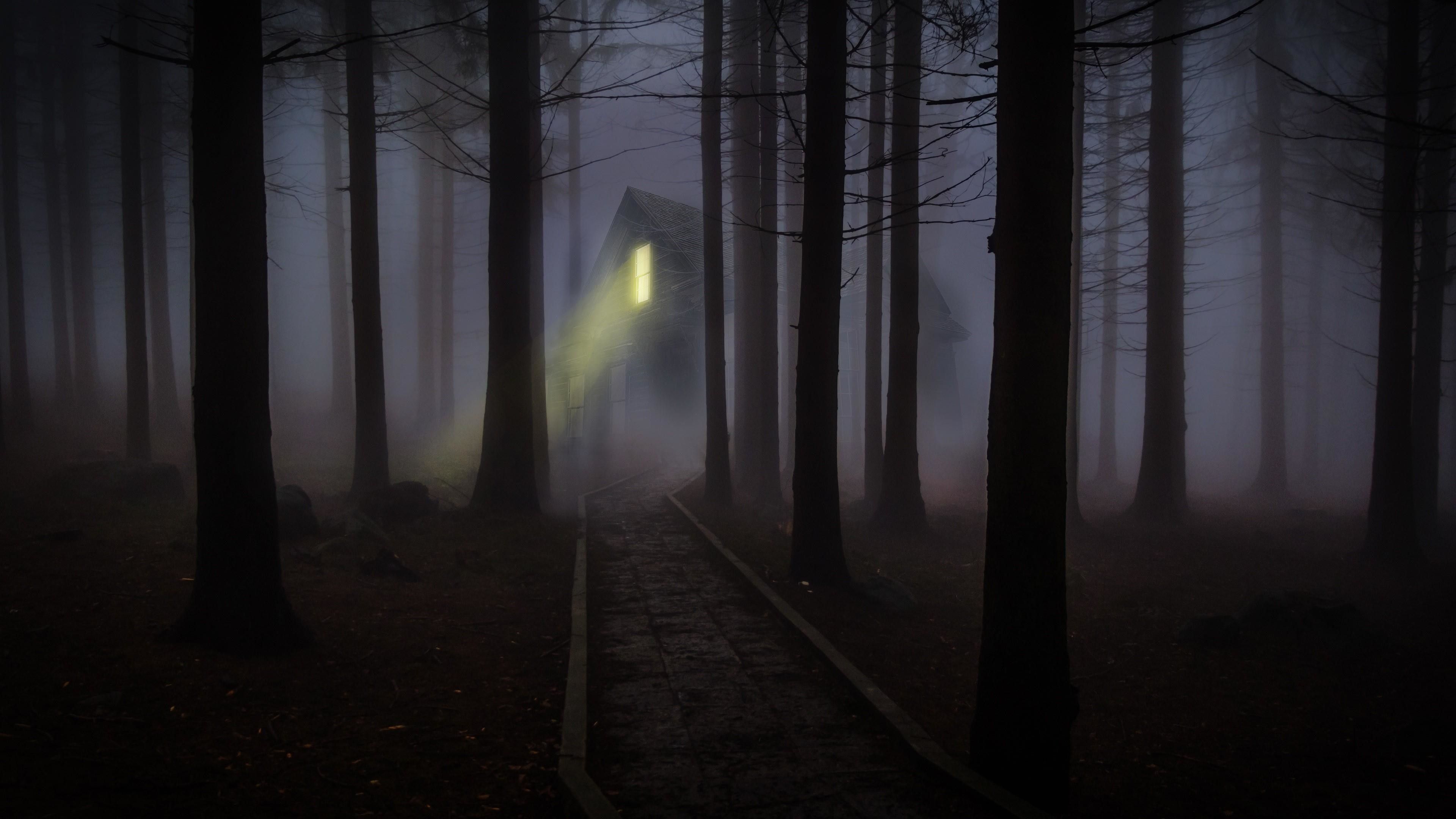 Scary Forest Wallpapers Wallpaper Cave Scary Forest Wallpapers Wallpaper Cave