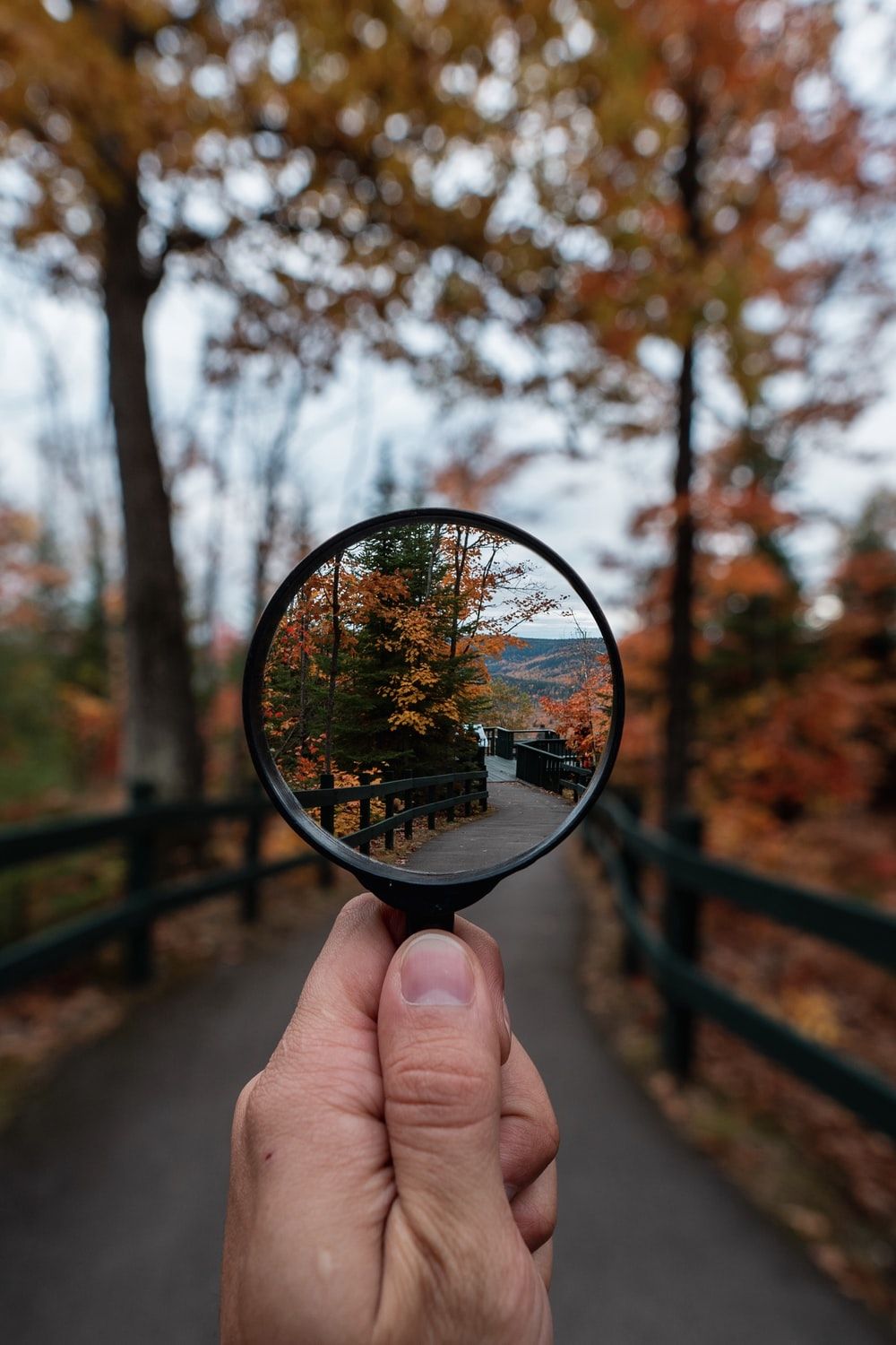 Magnifying Glass Wallpapers Wallpaper Cave
