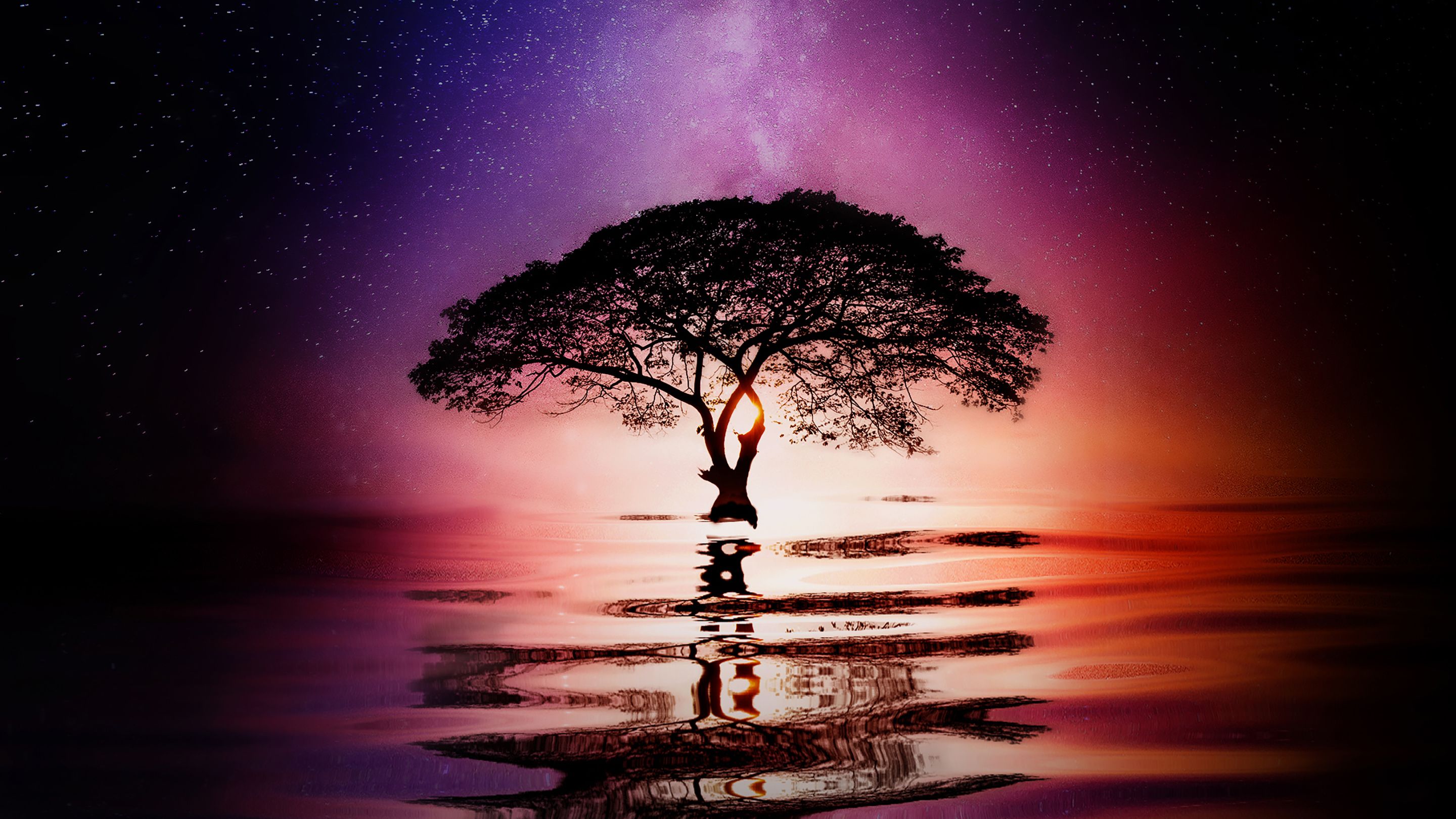 Sky Trees Reflection HD Wallpapers - Wallpaper Cave