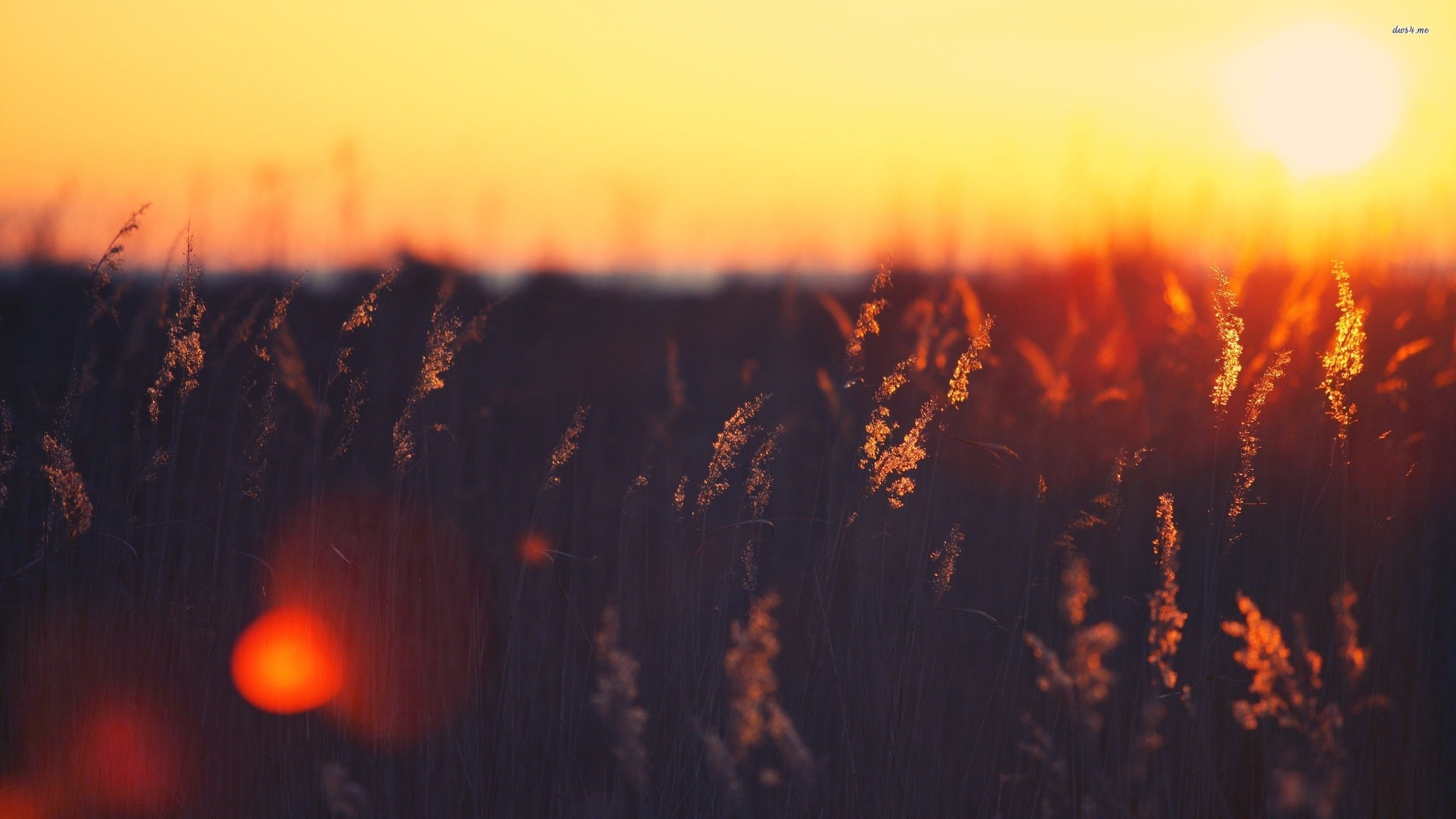 Vintage Retro Sunset Wallpapers - Wallpaper Cave