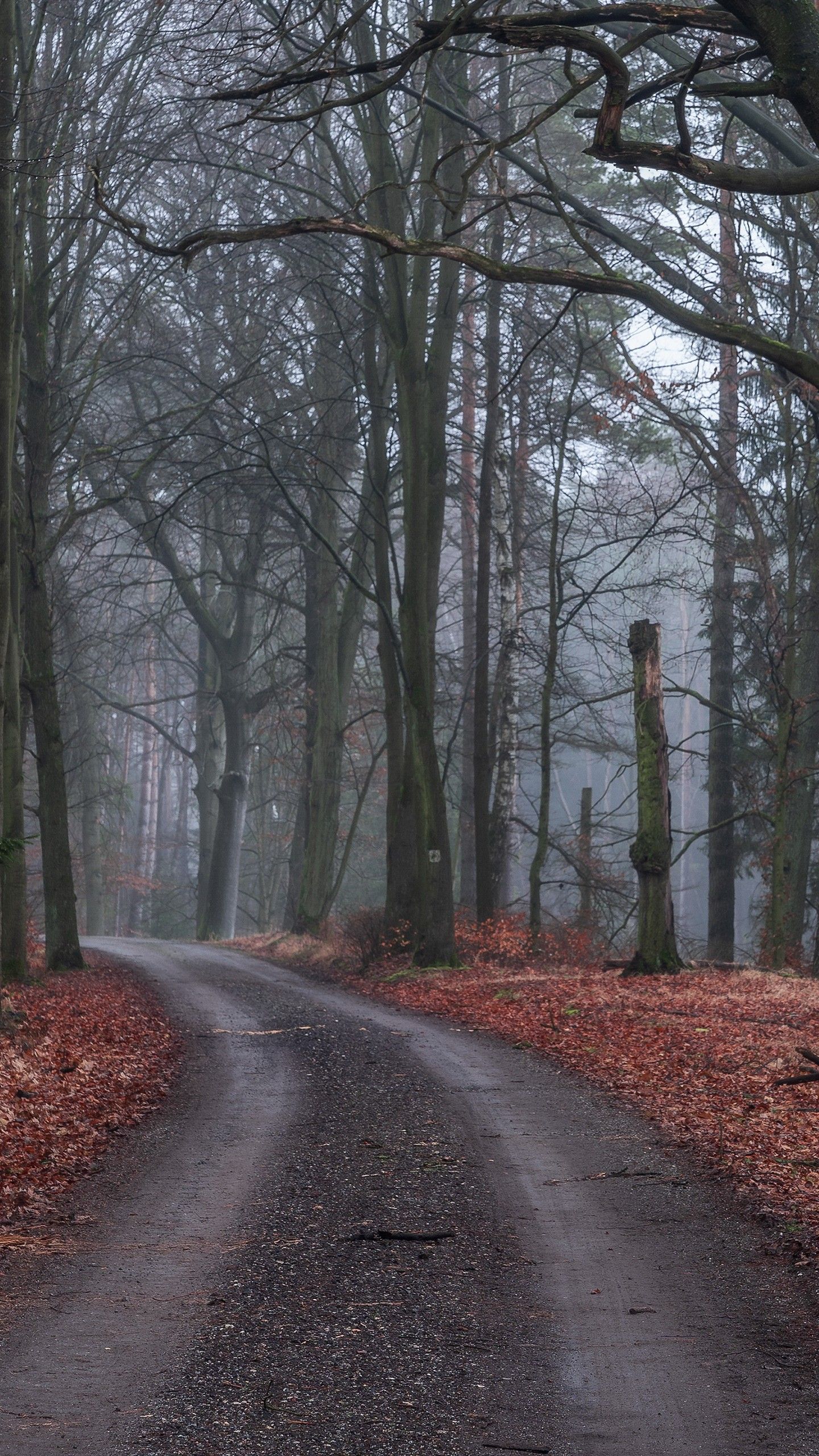 Man Made Road HD Wallpapers - Wallpaper Cave