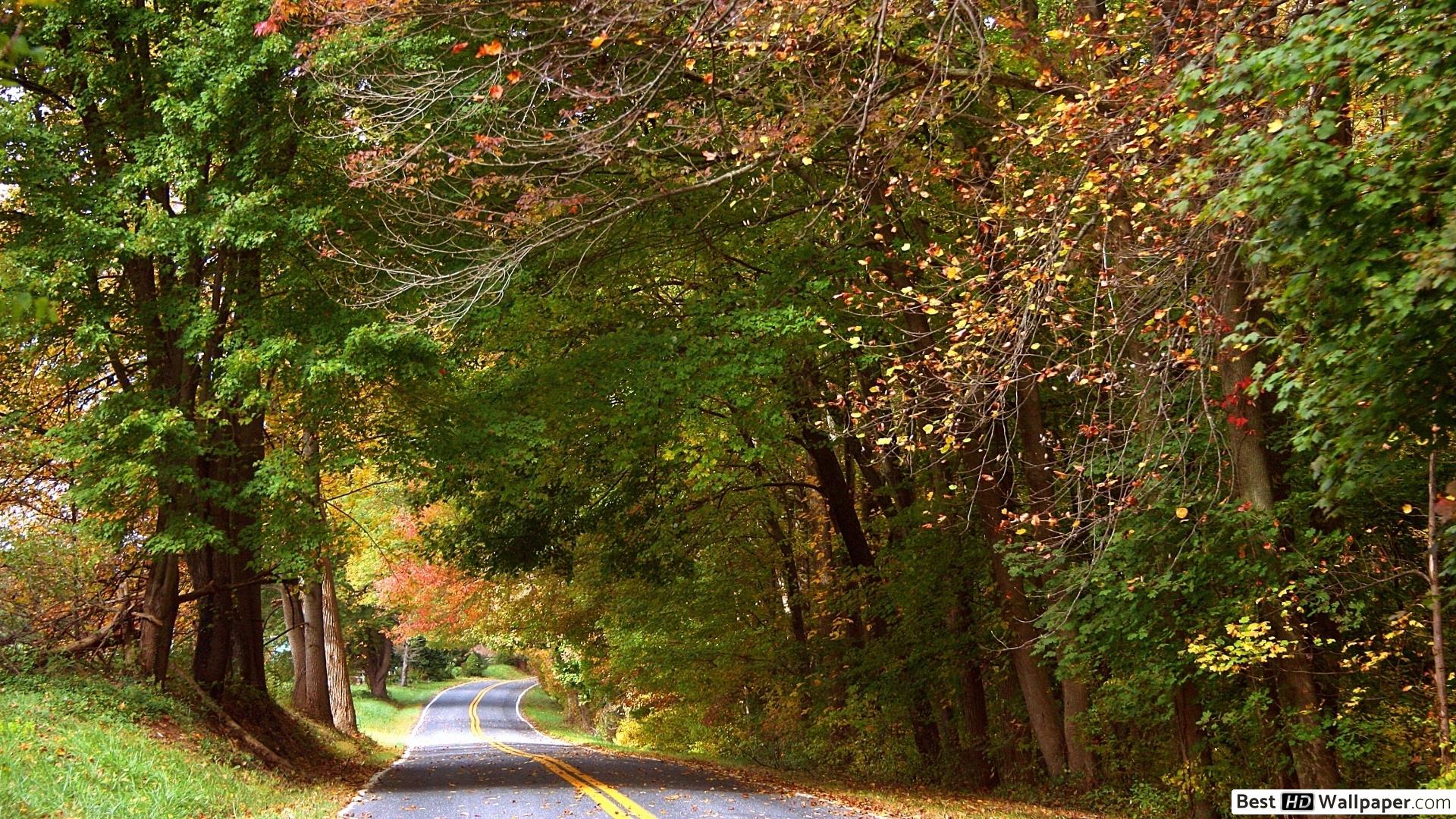 Man Made Road HD Wallpapers - Wallpaper Cave