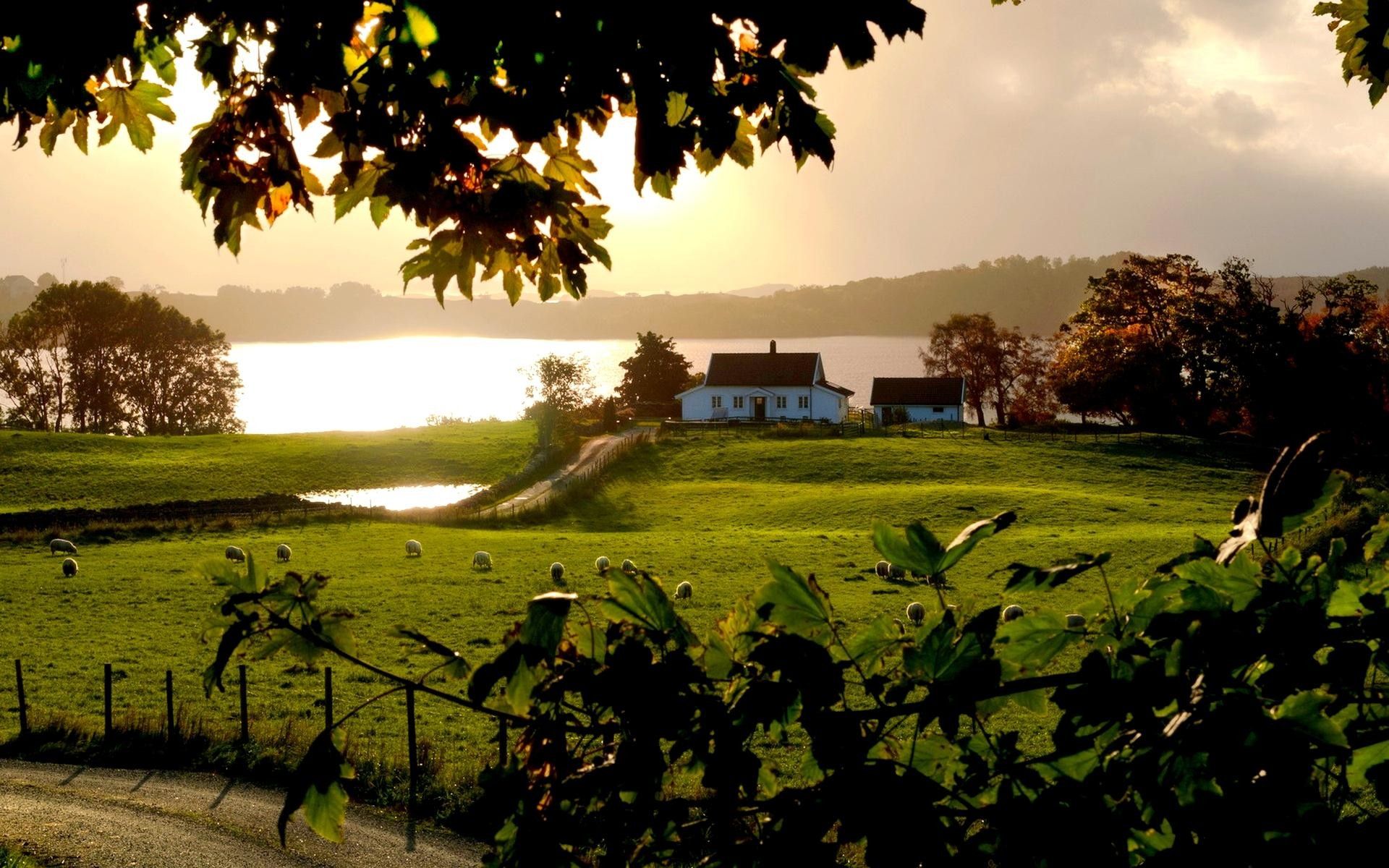 Summer Farming Wallpapers - Wallpaper Cave