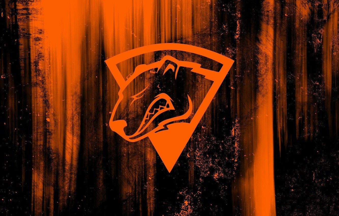 Virtus.pro Wallpapers - Wallpaper Cave