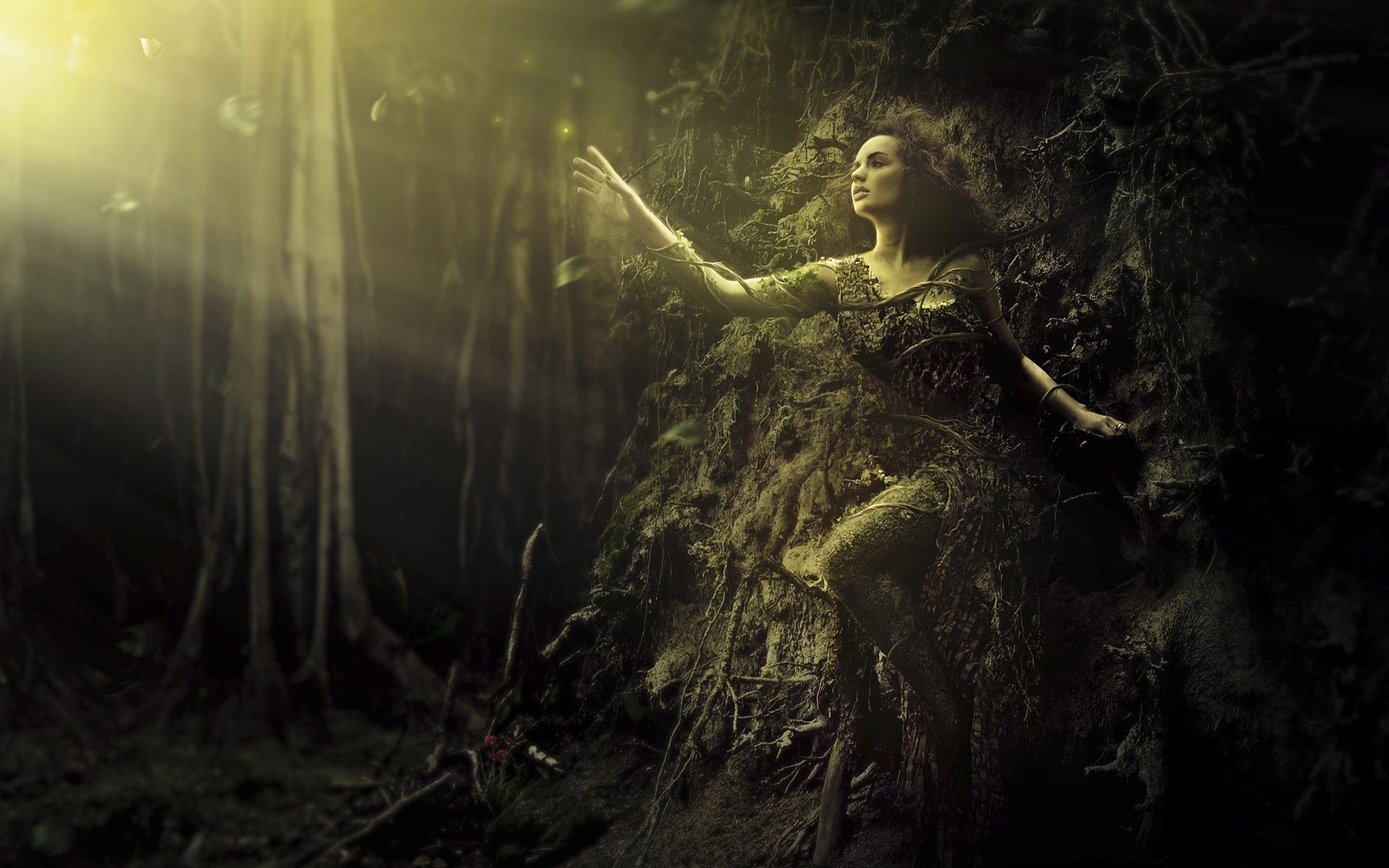 Women And Trees Wallpapers - Wallpaper Cave