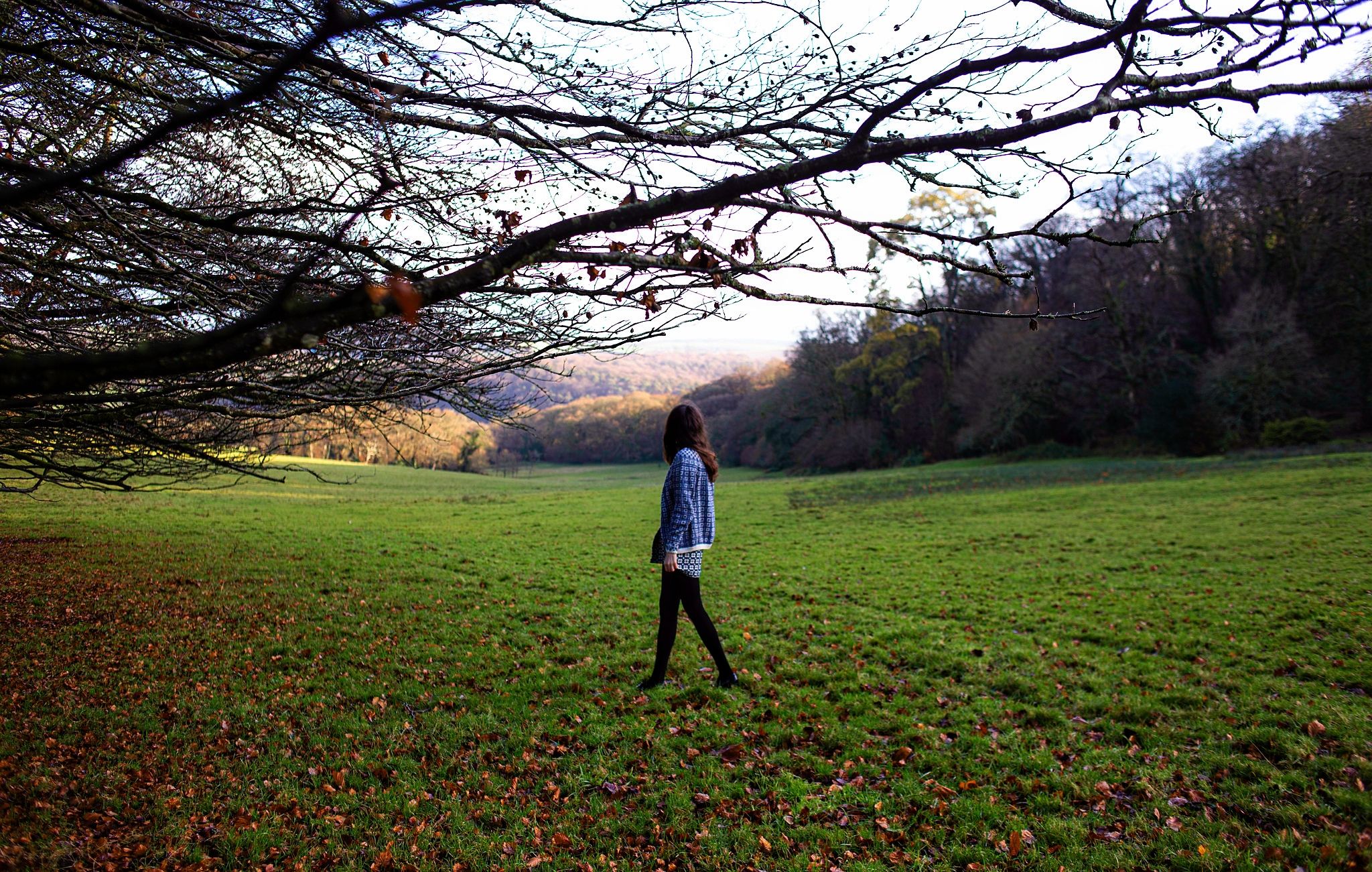 Women And Trees Wallpapers - Wallpaper Cave