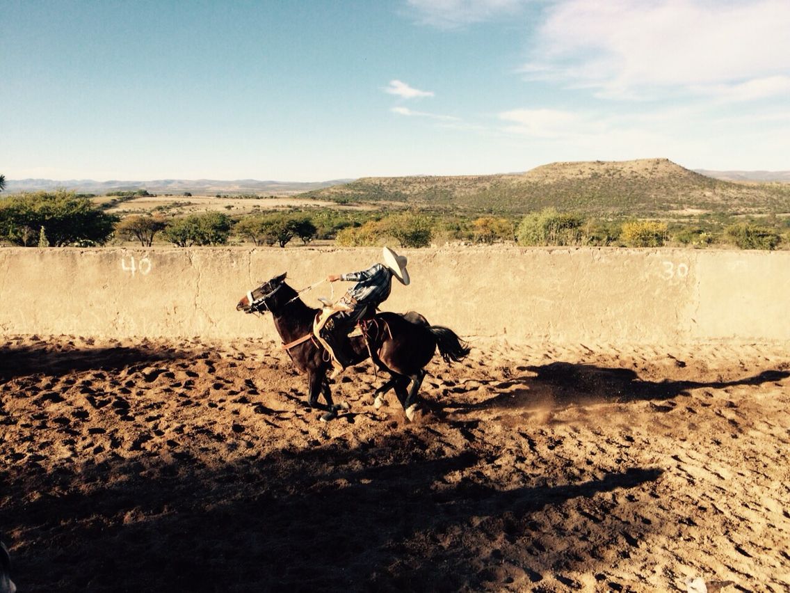 Coleaderos Wallpapers - Wallpaper Cave