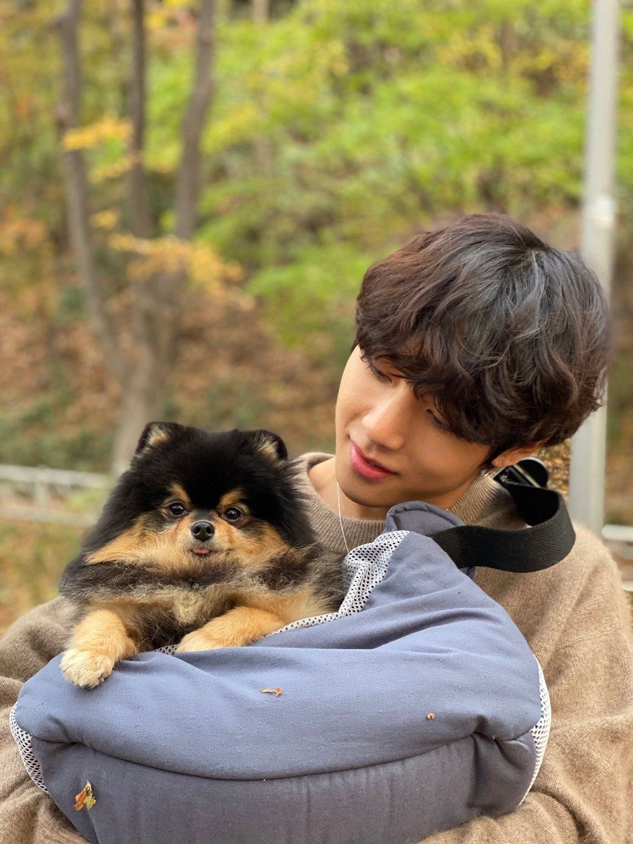 Taehyung And His Dog Wallpapers - Wallpaper Cave