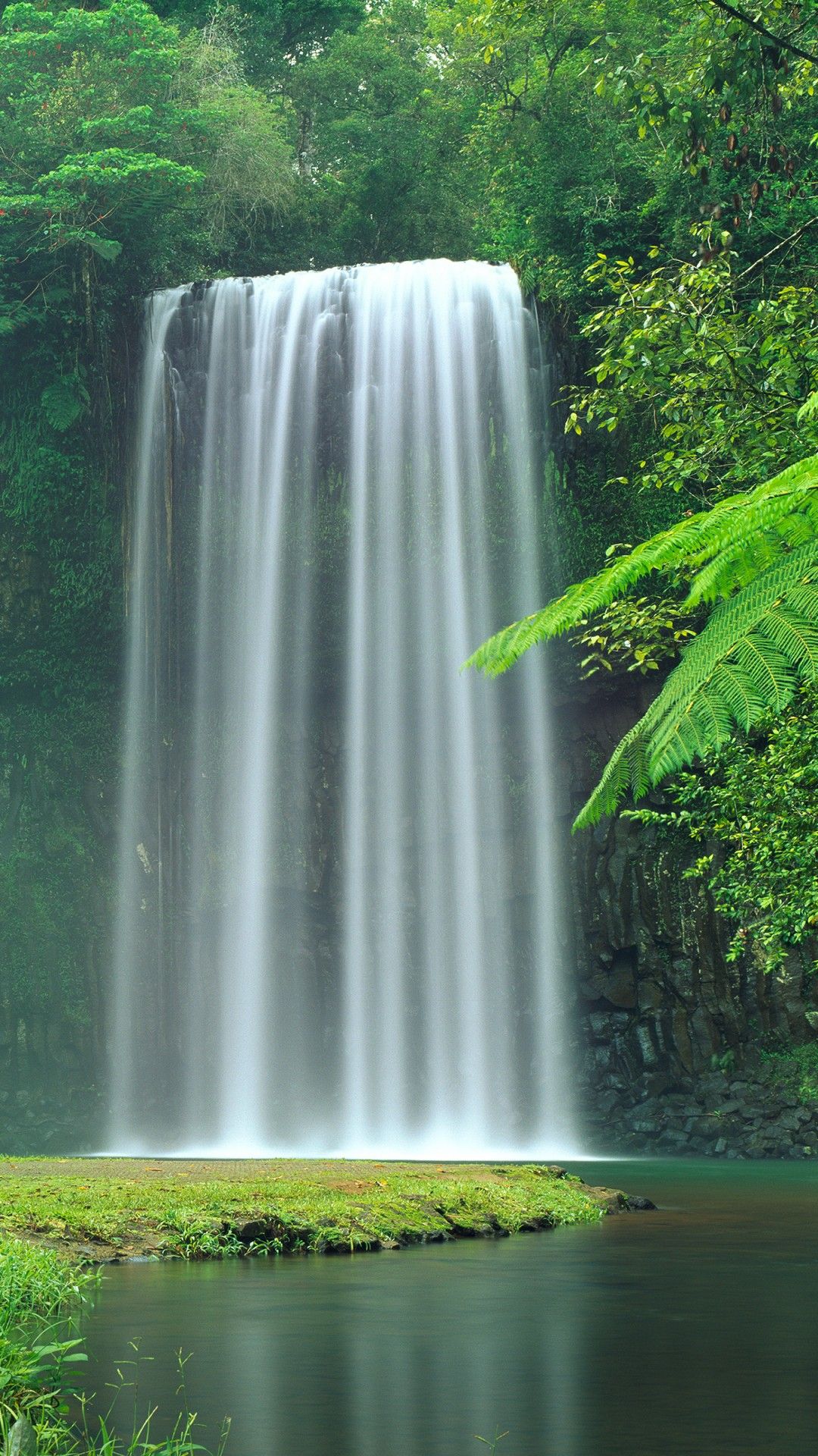 Millaa Millaa Falls Wallpapers - Wallpaper Cave