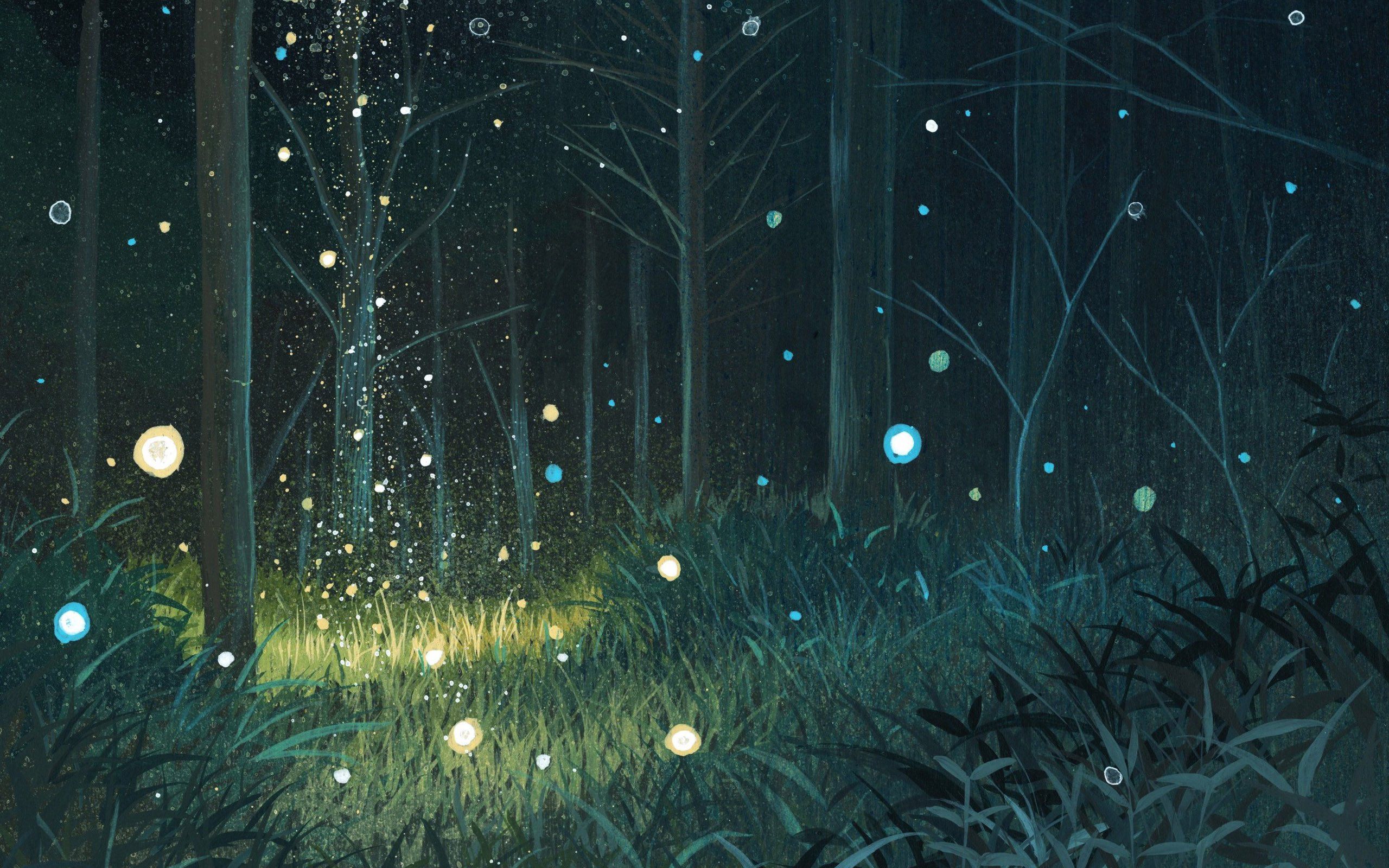 To The Forest Of Firefly Lights Wallpapers - Wallpaper Cave