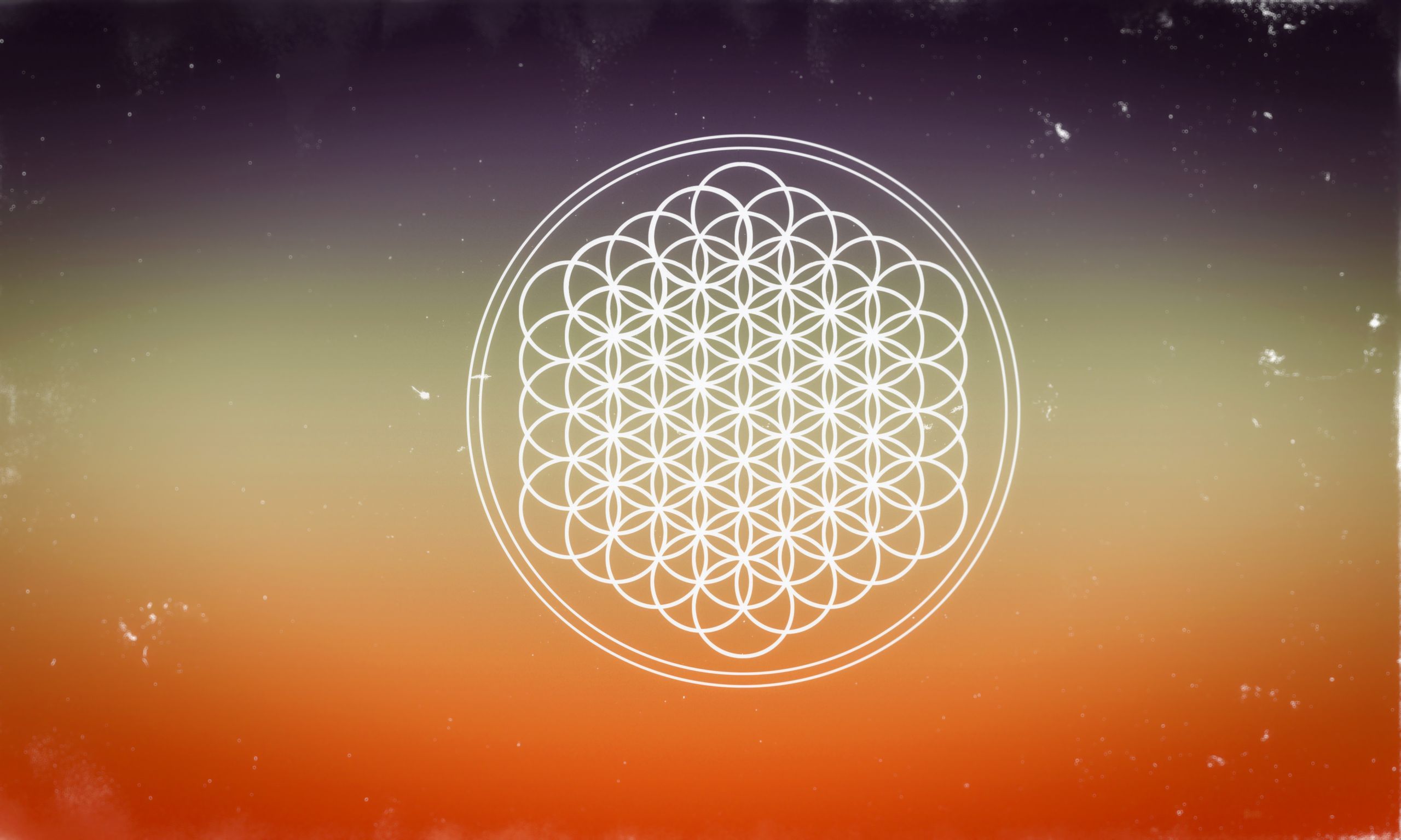 BMTH Amo Wallpapers - Wallpaper Cave