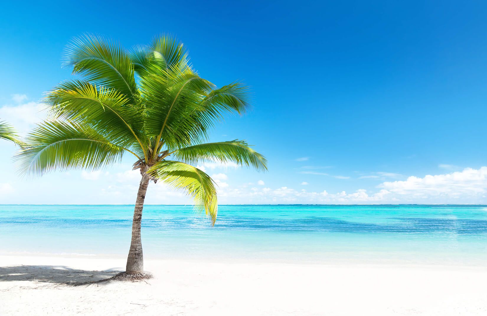 Dream Paradise Wallpapers - Wallpaper Cave