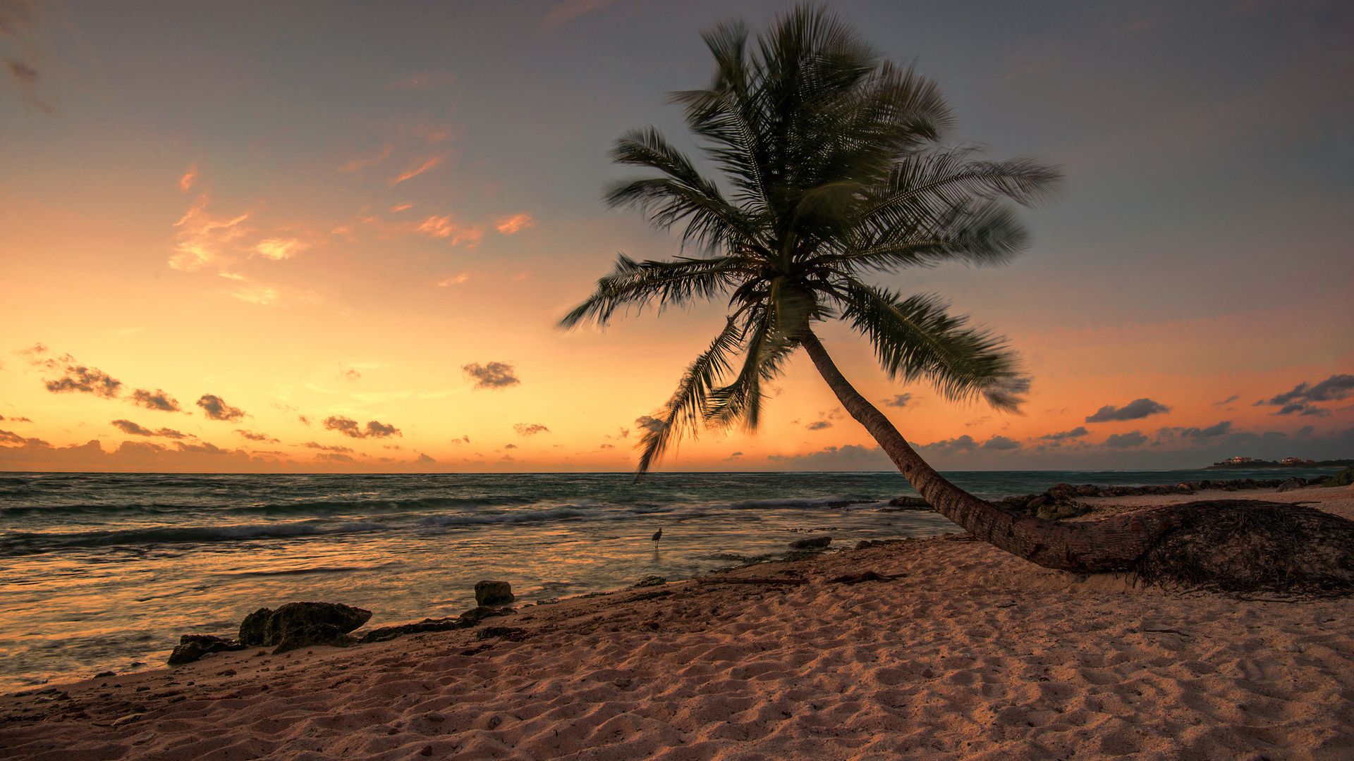 Dream Paradise Wallpapers - Wallpaper Cave