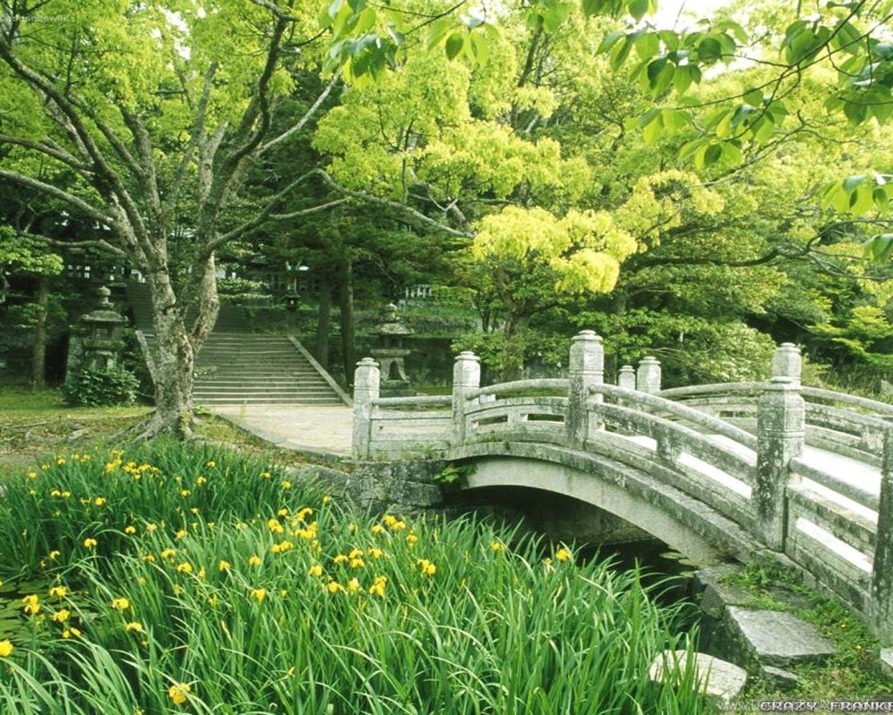 Japan Summer Wallpapers - Wallpaper Cave