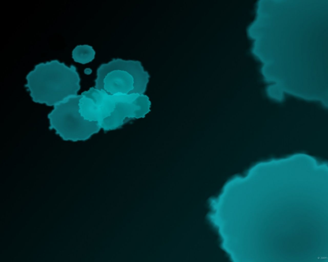 Germs Wallpapers - Wallpaper Cave