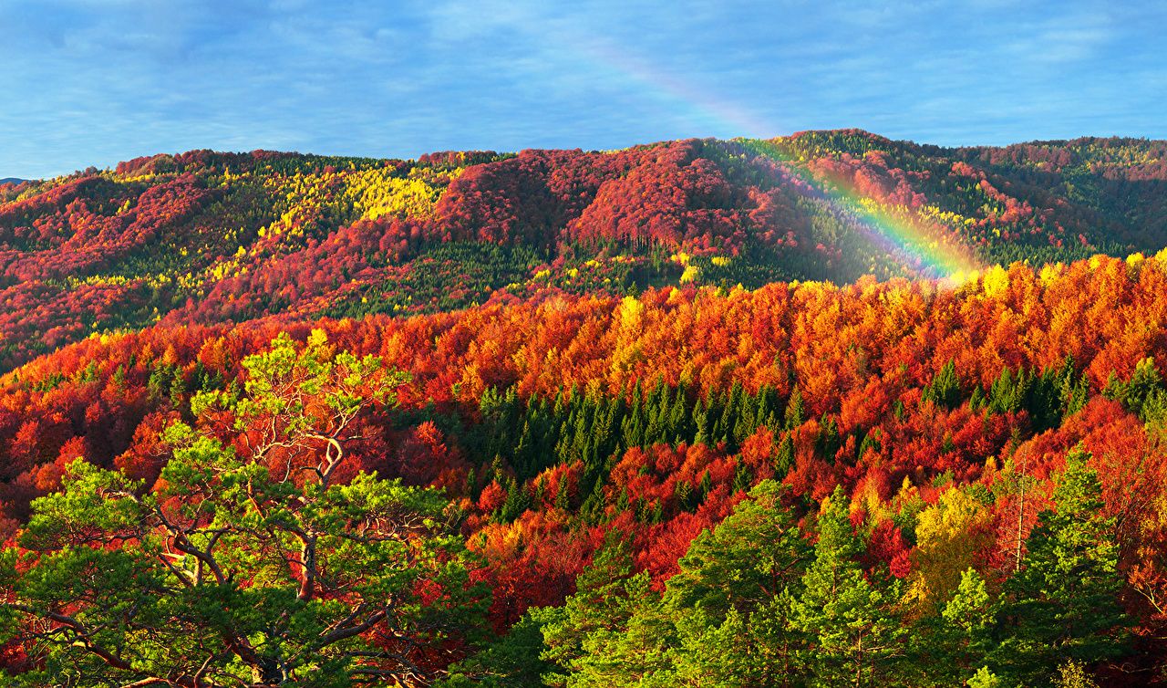Rainbow Over Autumn Wallpapers - Wallpaper Cave