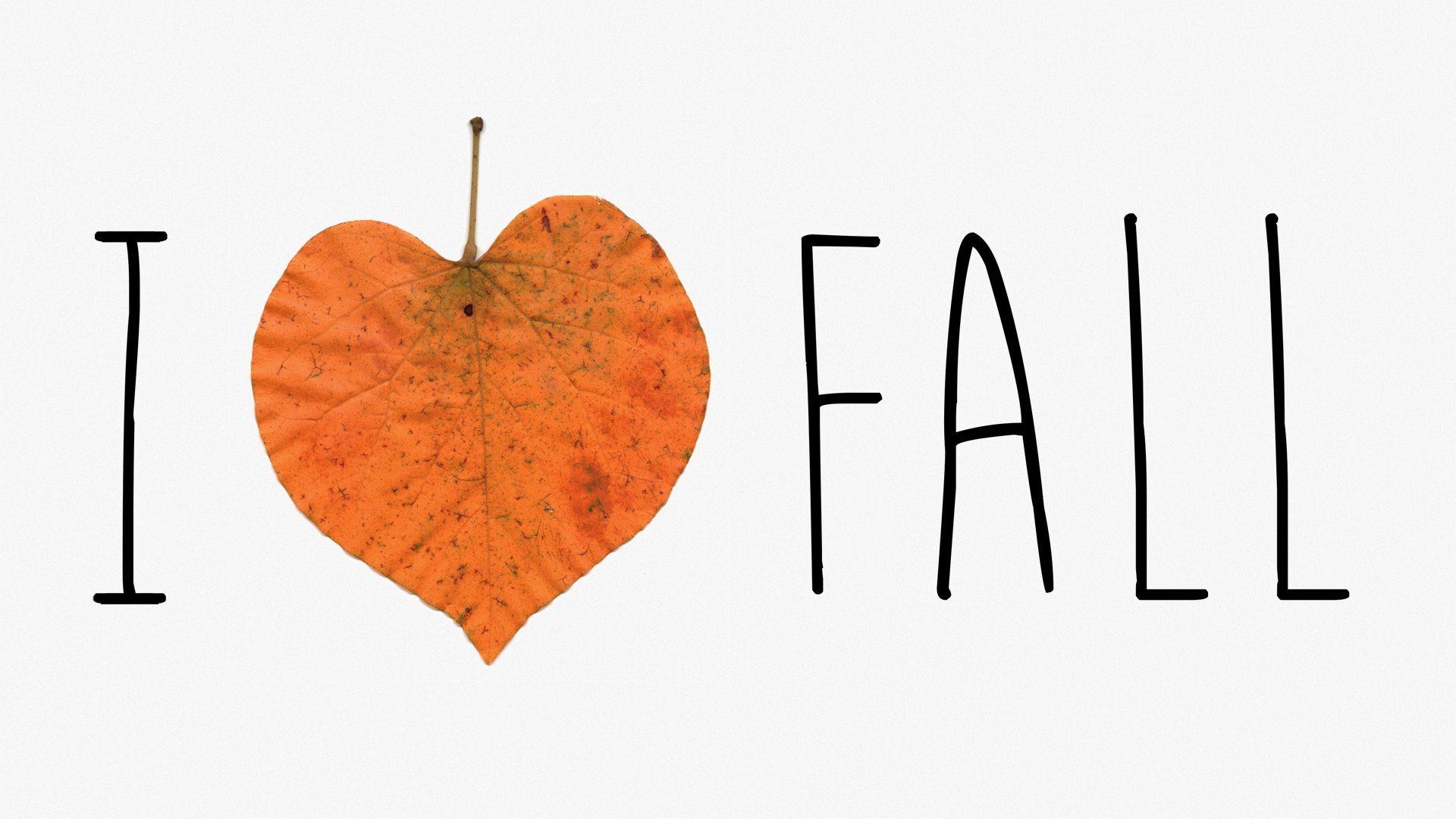 Pumpkin Spice Wallpapers - Wallpaper Cave