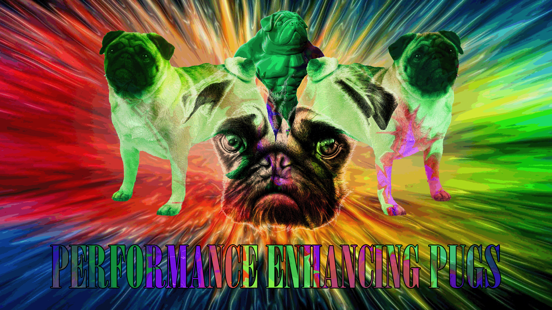 Pug Life Wallpapers - Wallpaper Cave