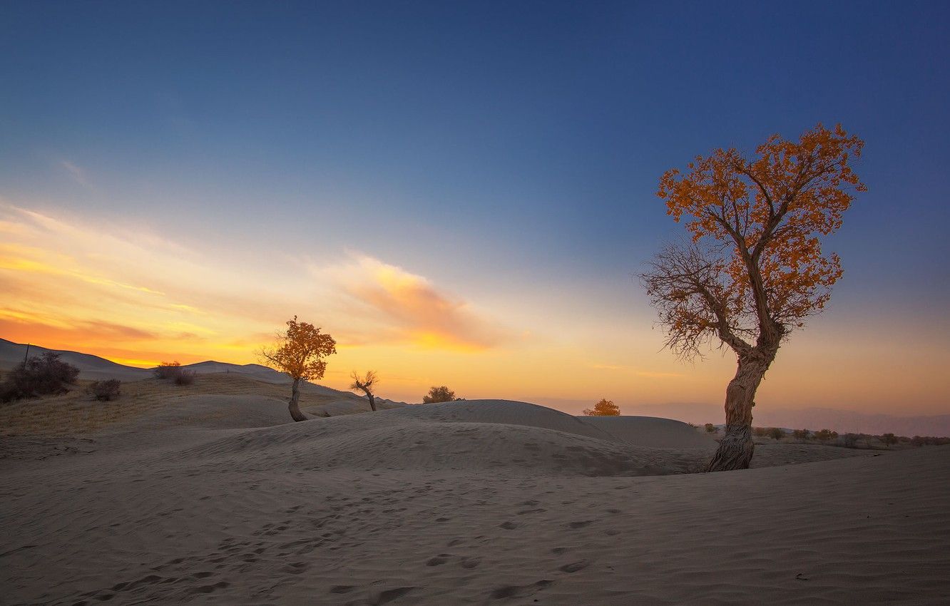 Autumn In The Desert Wallpapers - Wallpaper Cave