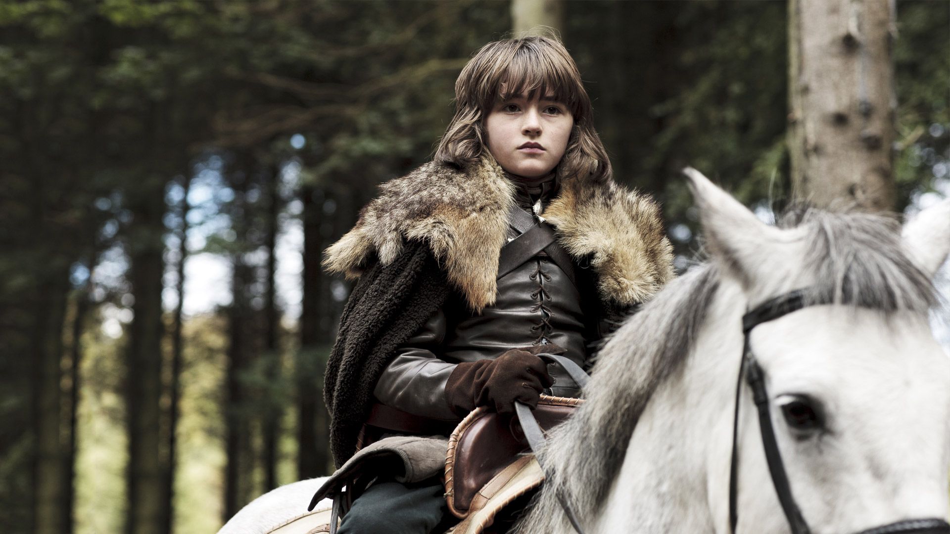 Brandon Stark Wallpapers - Wallpaper Cave Brandon Stark Wallpapers - Wallpaper Cave