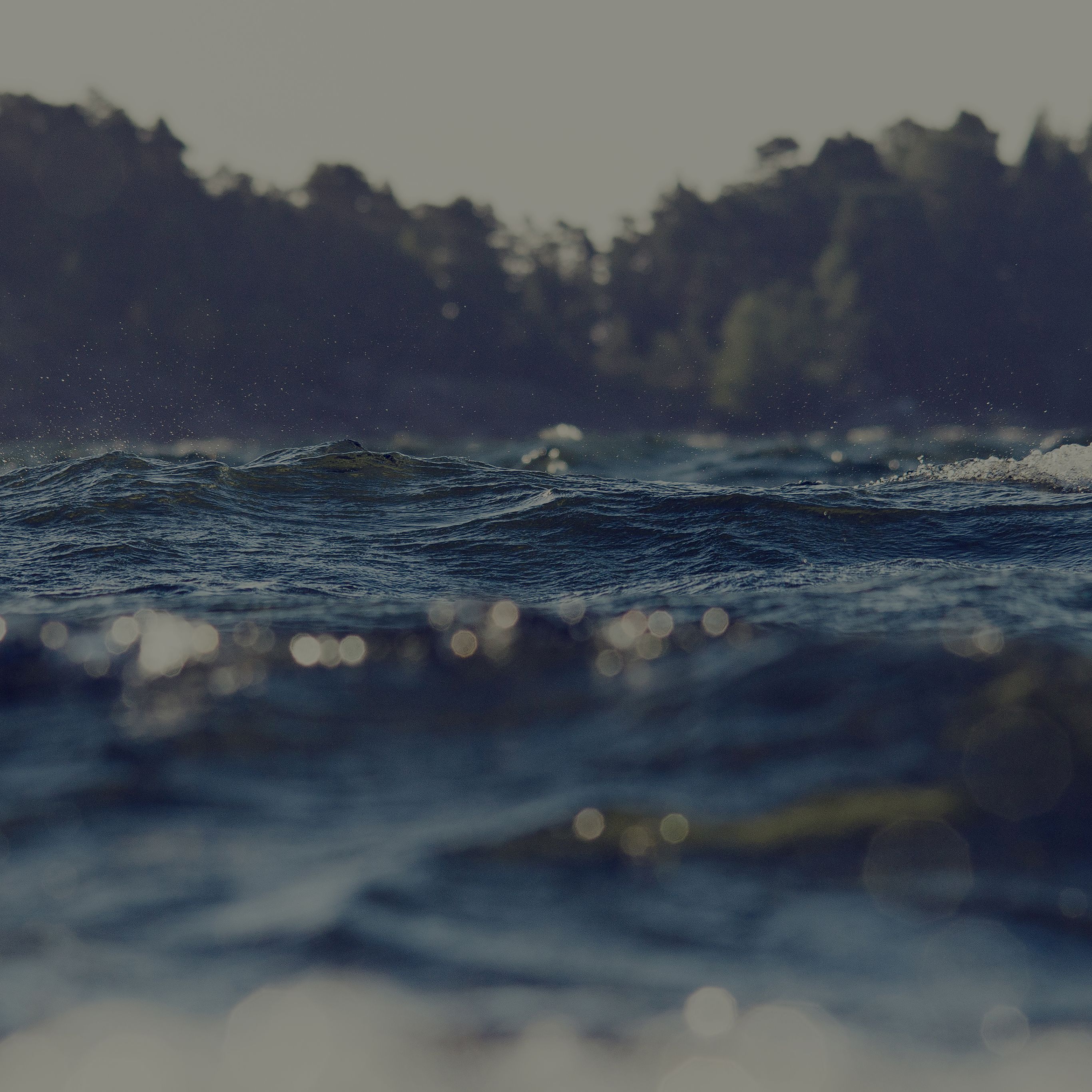 Drown Wallpapers - Wallpaper Cave