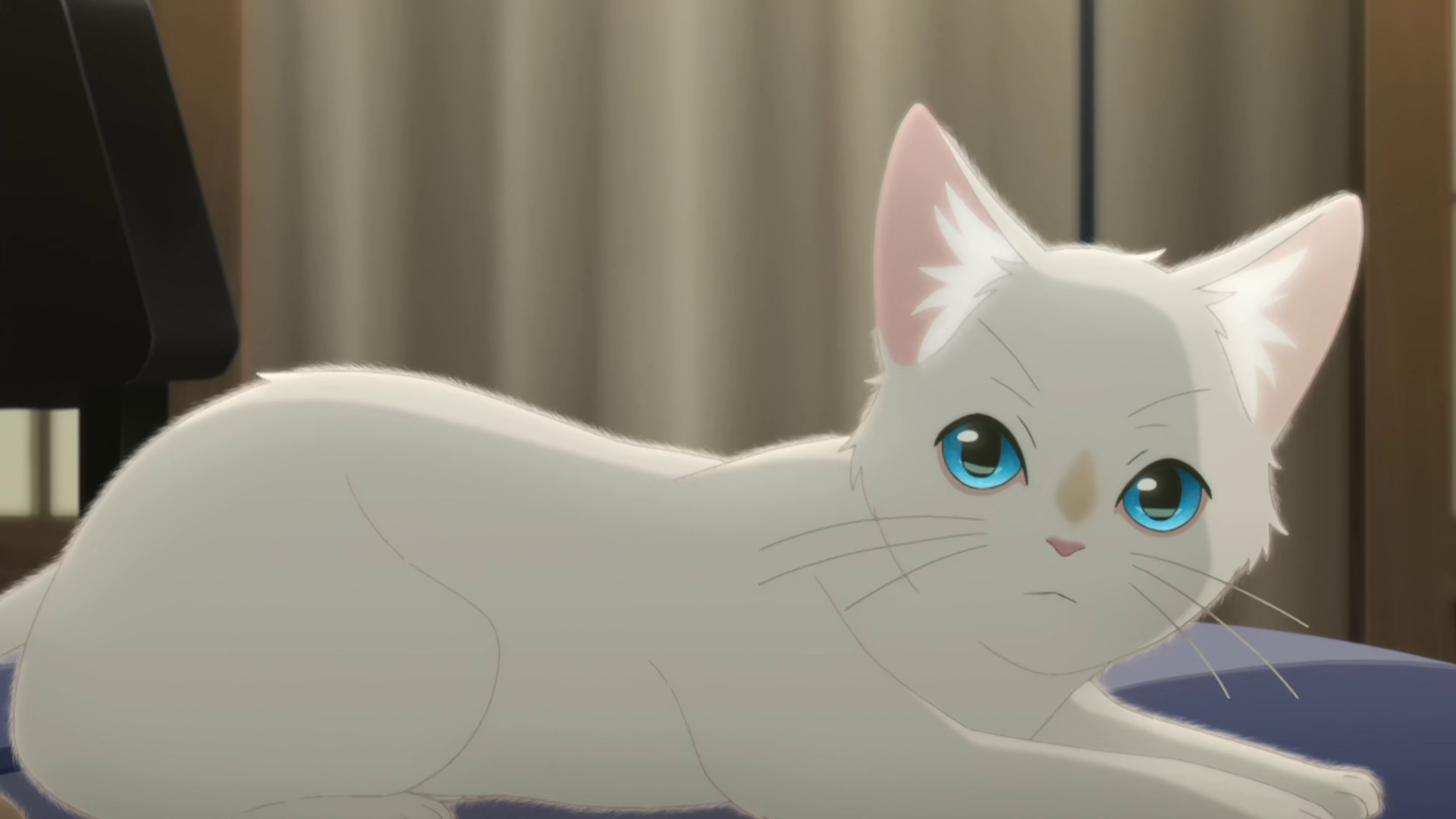 Nakitai Watashi Wa Neko Wo Kaburu Wallpapers - Wallpaper Cave