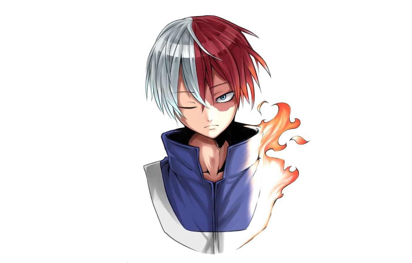 Shouto Wallpapers - Wallpaper Cave