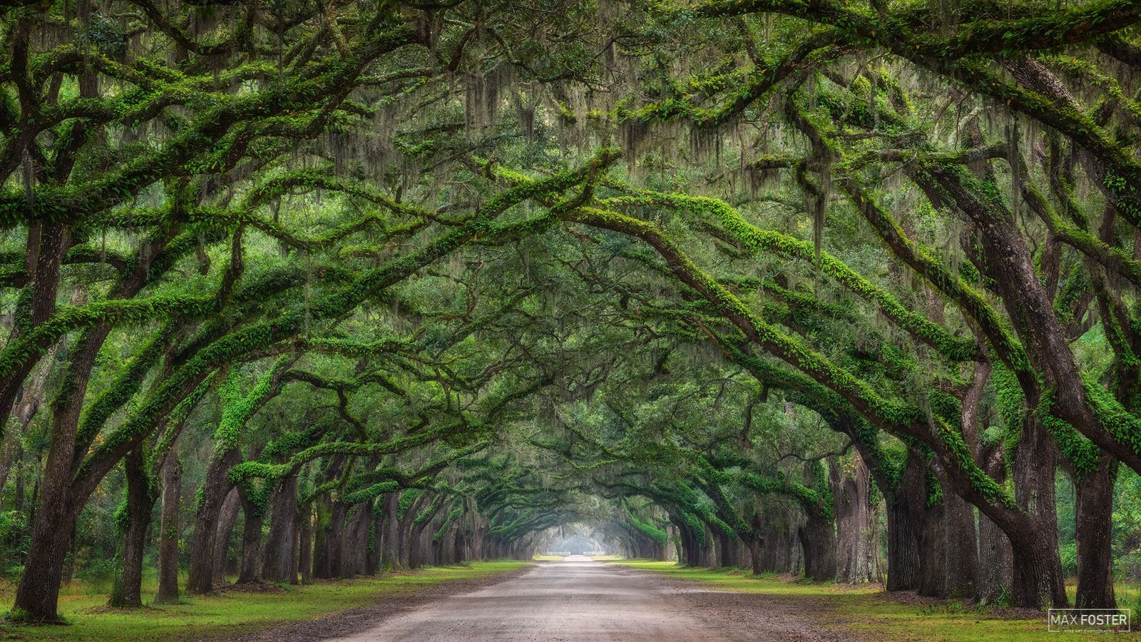 Wormsloe Wallpapers - Wallpaper Cave