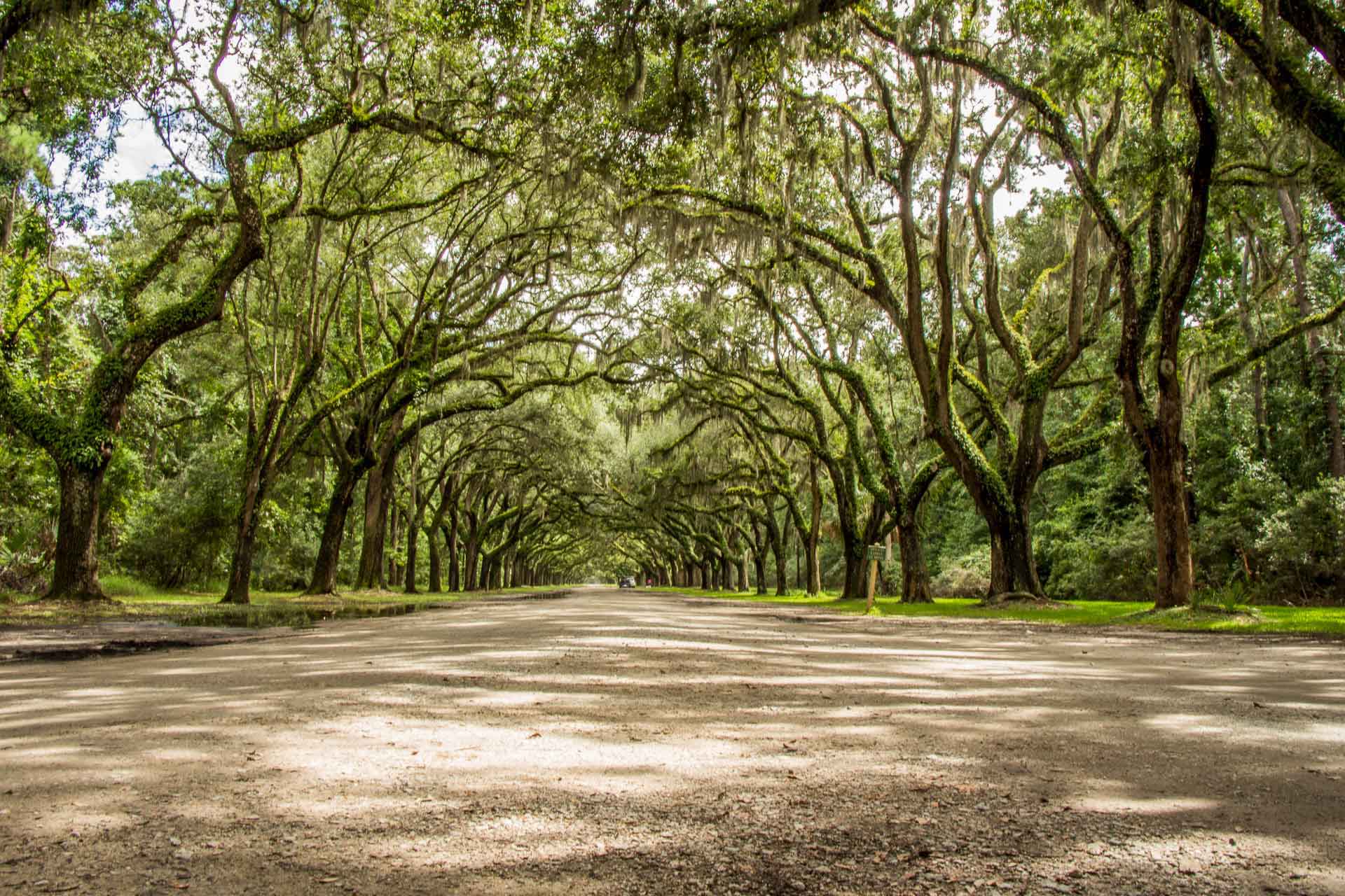 Wormsloe Wallpapers - Wallpaper Cave