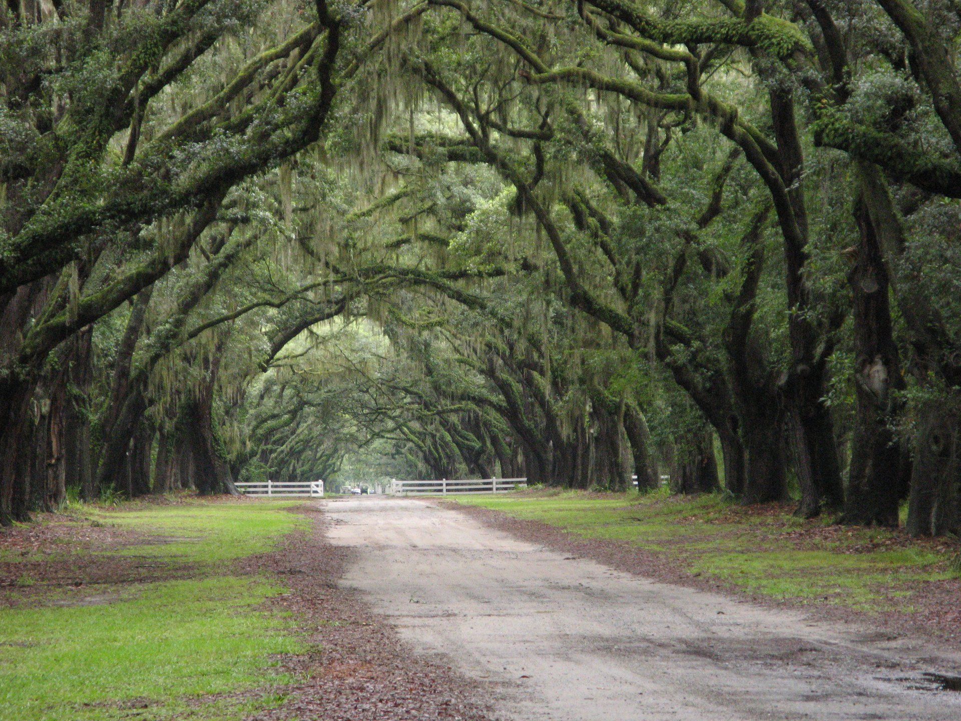Wormsloe Wallpapers - Wallpaper Cave