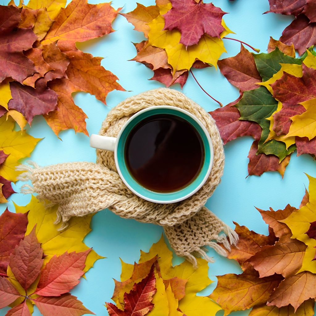 Autumn Mug Wallpapers - Wallpaper Cave
